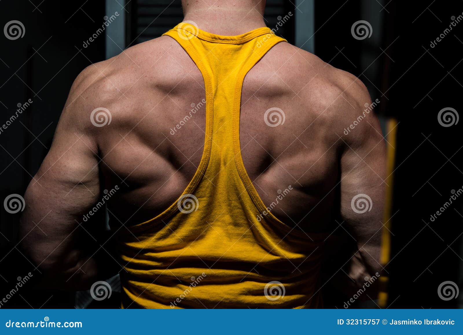 Young Body Builder Flexing His Back Stock Image - Image of attractive ...