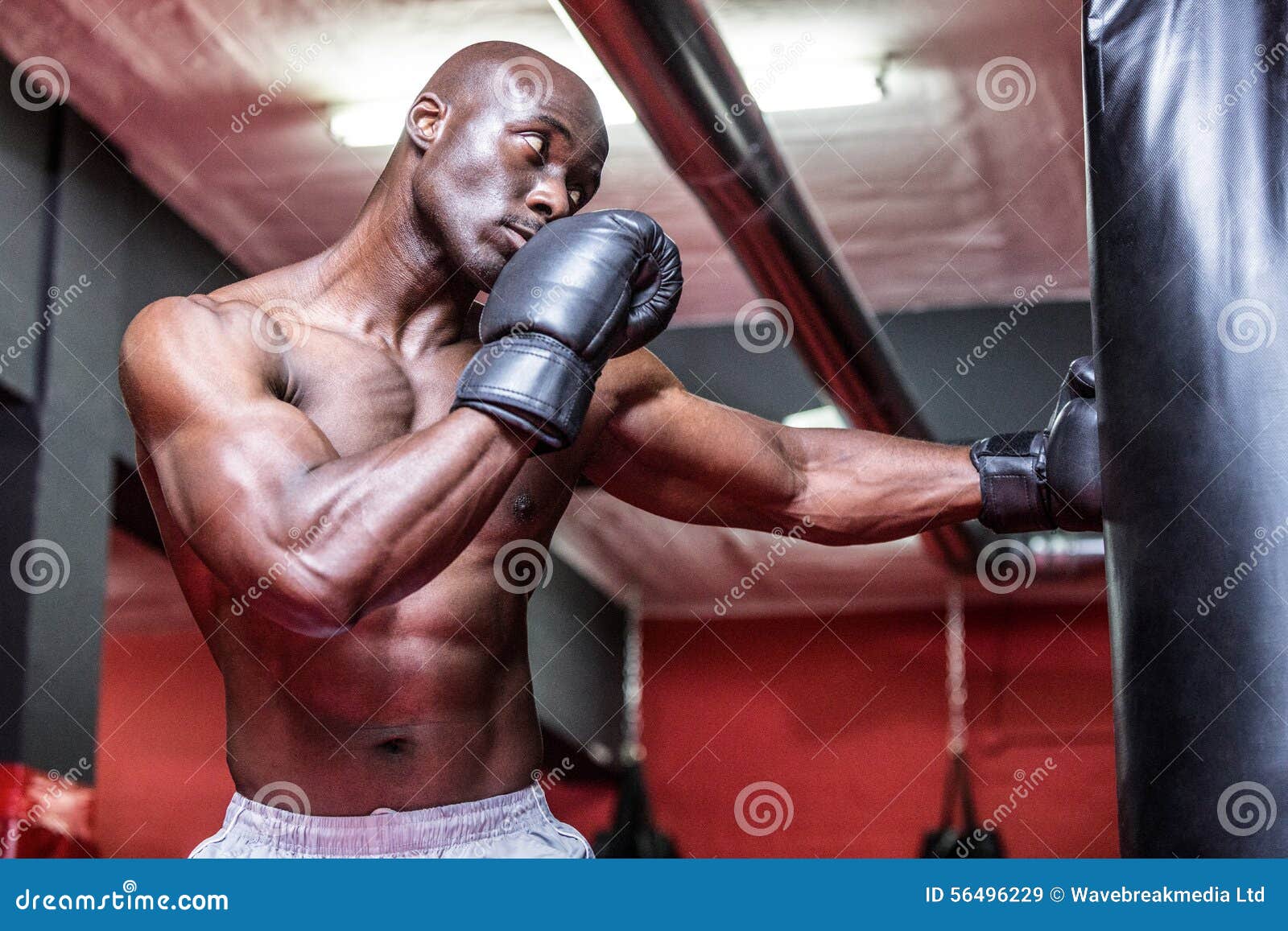 Young Bodybuilder Boxing a Bag Stock Image - Image of athletic ...