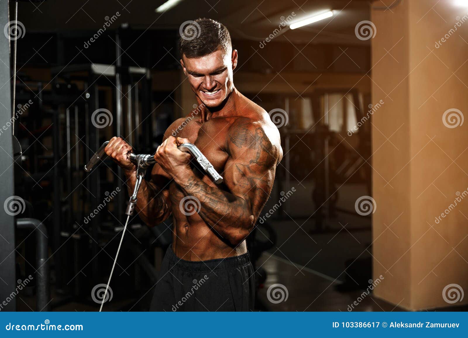 Young Bodybuilder Doing Exercise for Biceps Stock Image - Image of ...