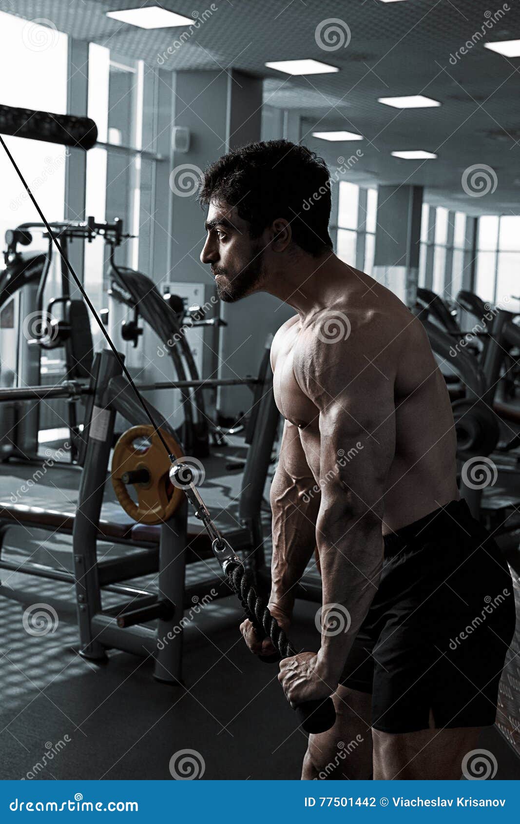 Young Bodybuilder Doing Exercise for Triceps Stock Photo - Image of ...