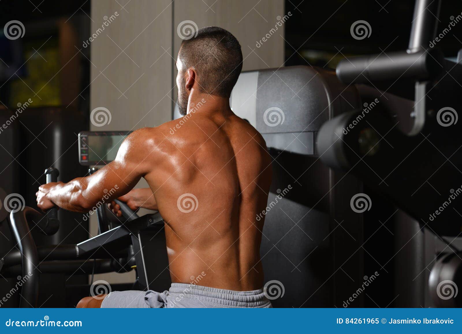 Young Bodybuilder Exercising Back on Machine Stock Image - Image of ...