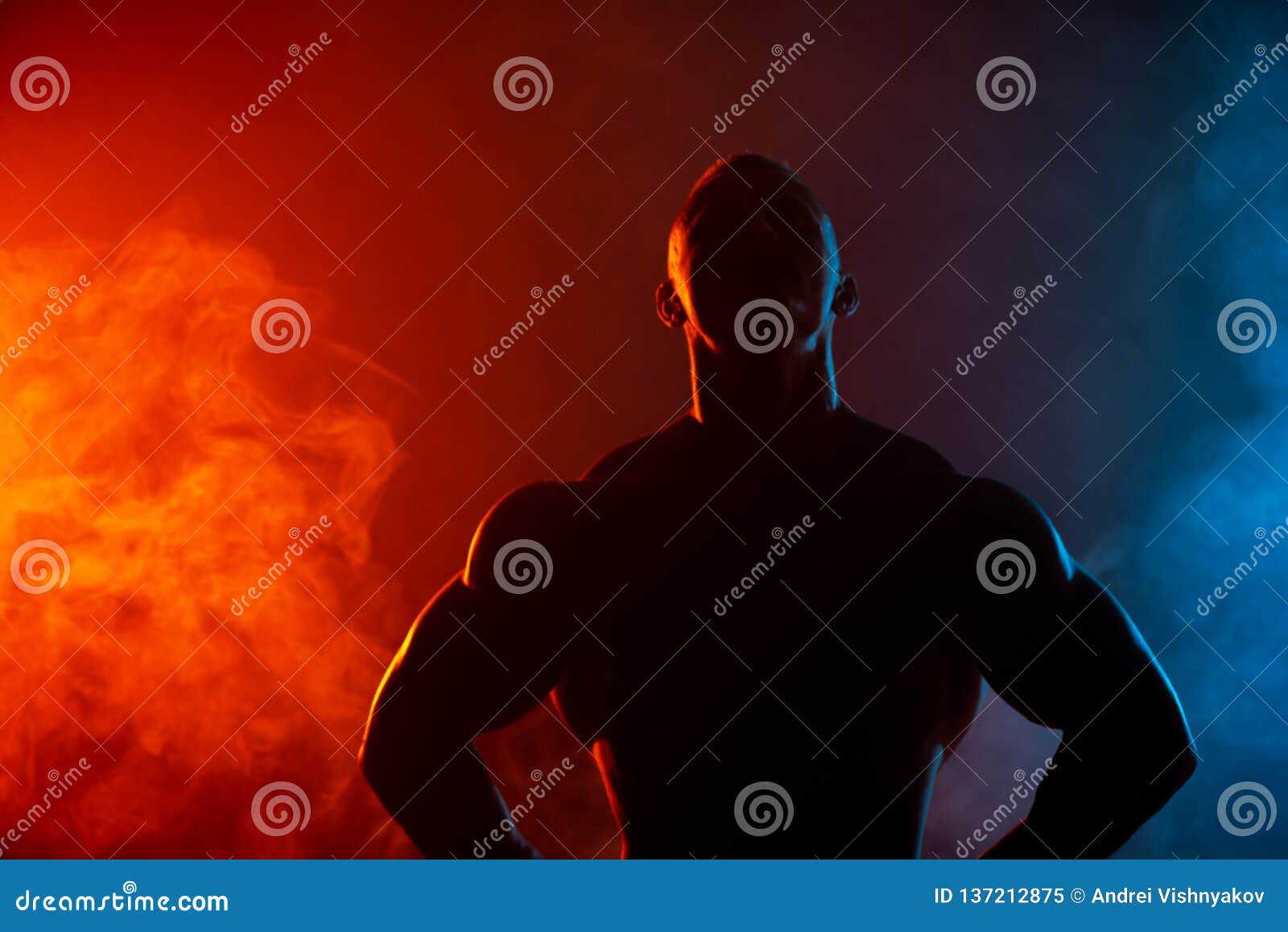 Young bodybuilder stock image. Image of bodybuilder - 137212875