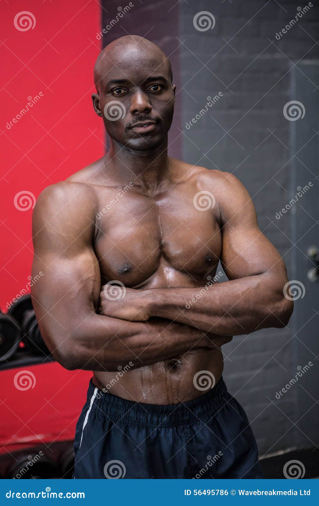 Young Bodybuilder Posing in Front of the Camera Stock Photo - Image of ...