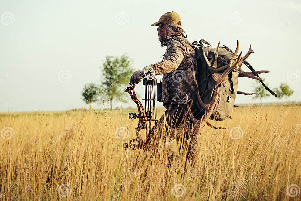 Bow Hunter Tracking Prey. Modern Bow Hunter Stock Photo - Image of ...