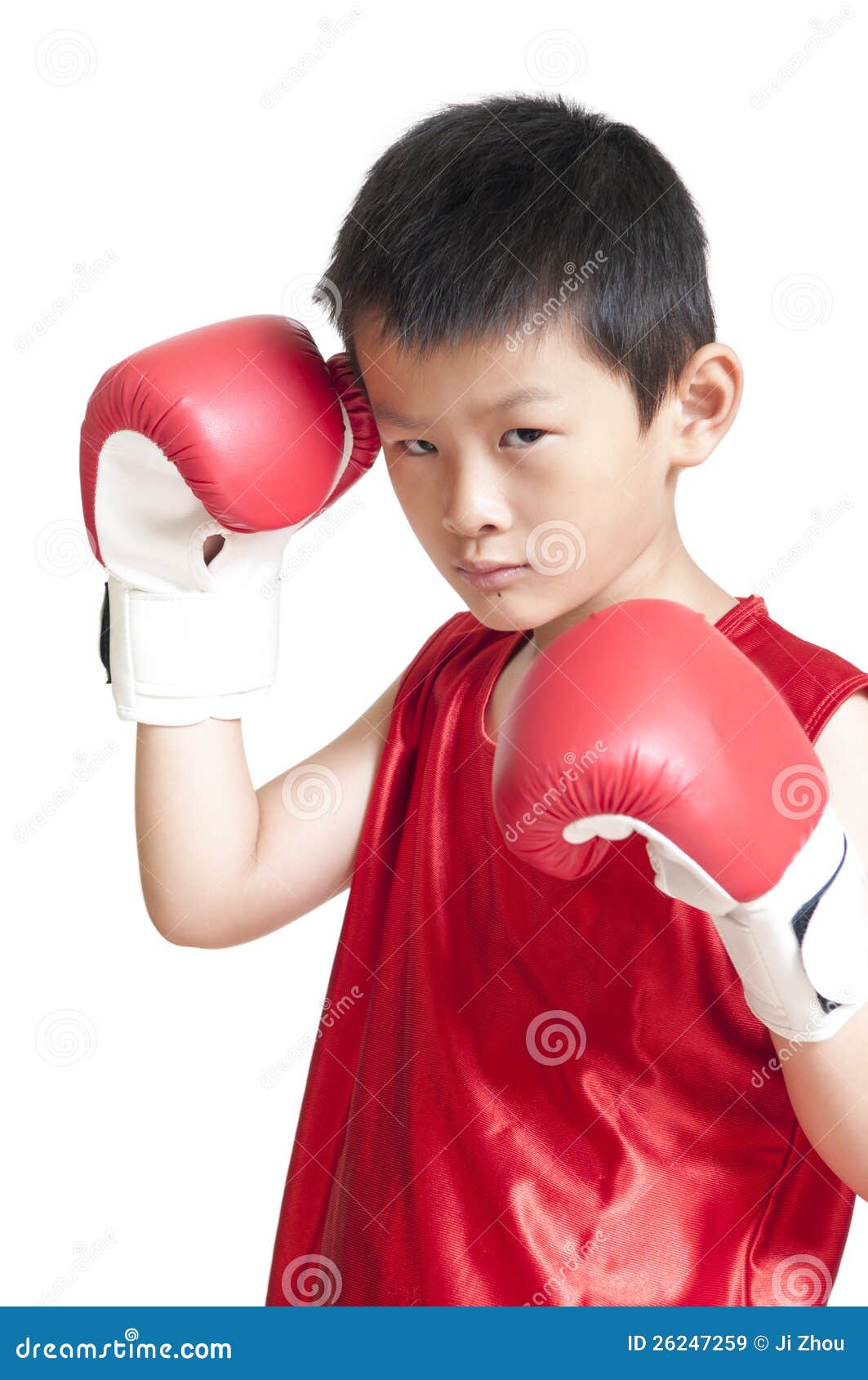 Young boxer stock image. Image of china, boxing, stare - 26247259