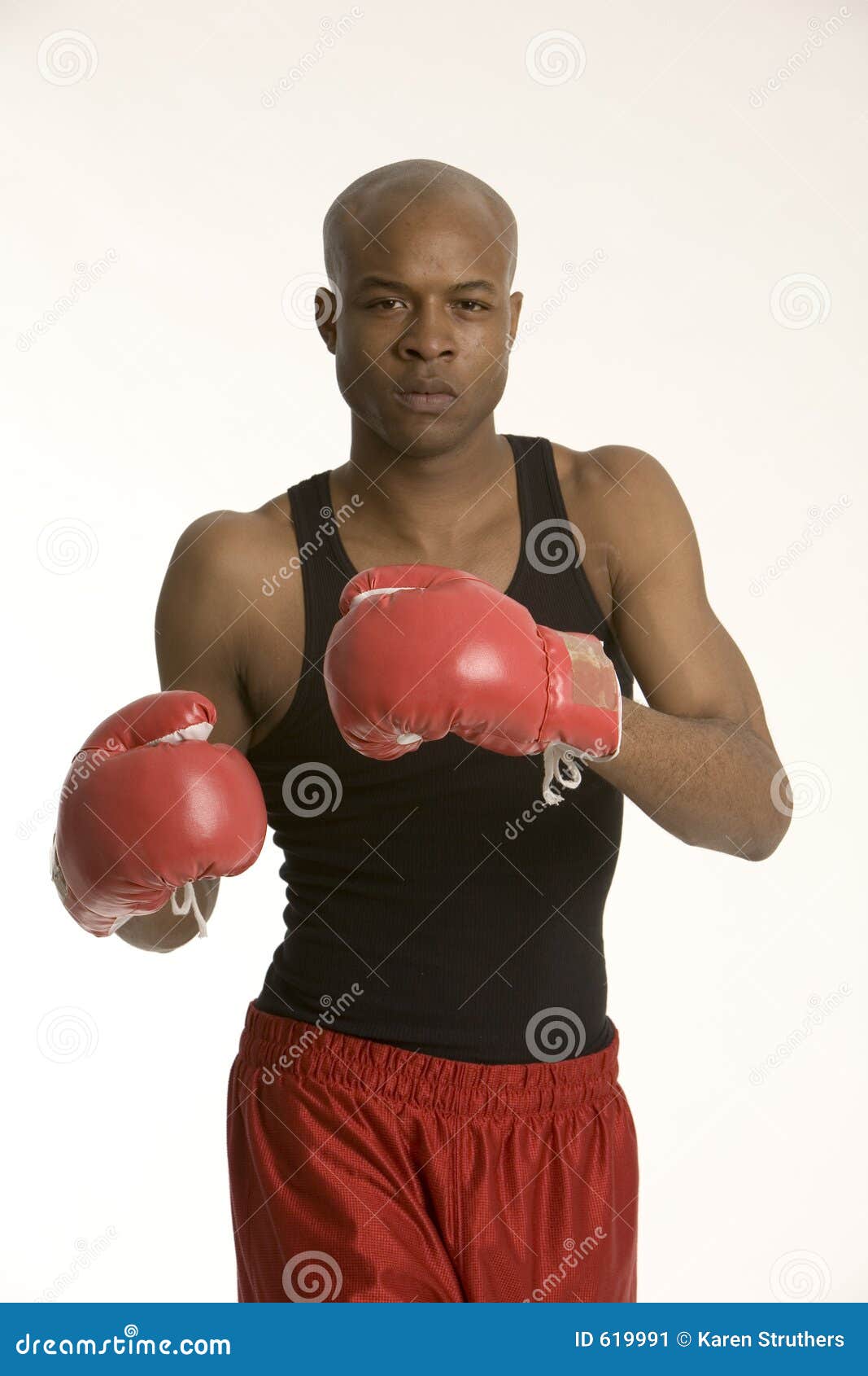 Young boxer stock image. Image of ready, fighter, bald - 619991