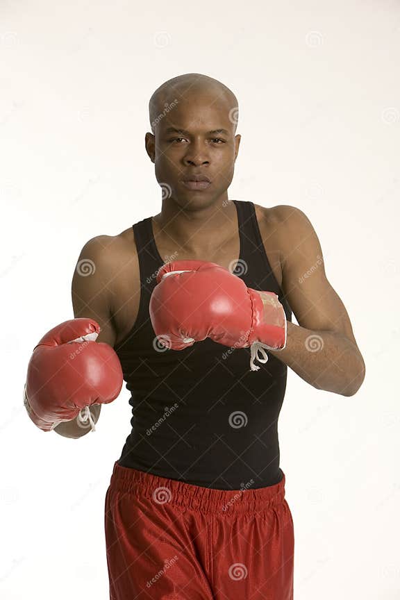 Young boxer stock image. Image of ready, fighter, bald - 619991