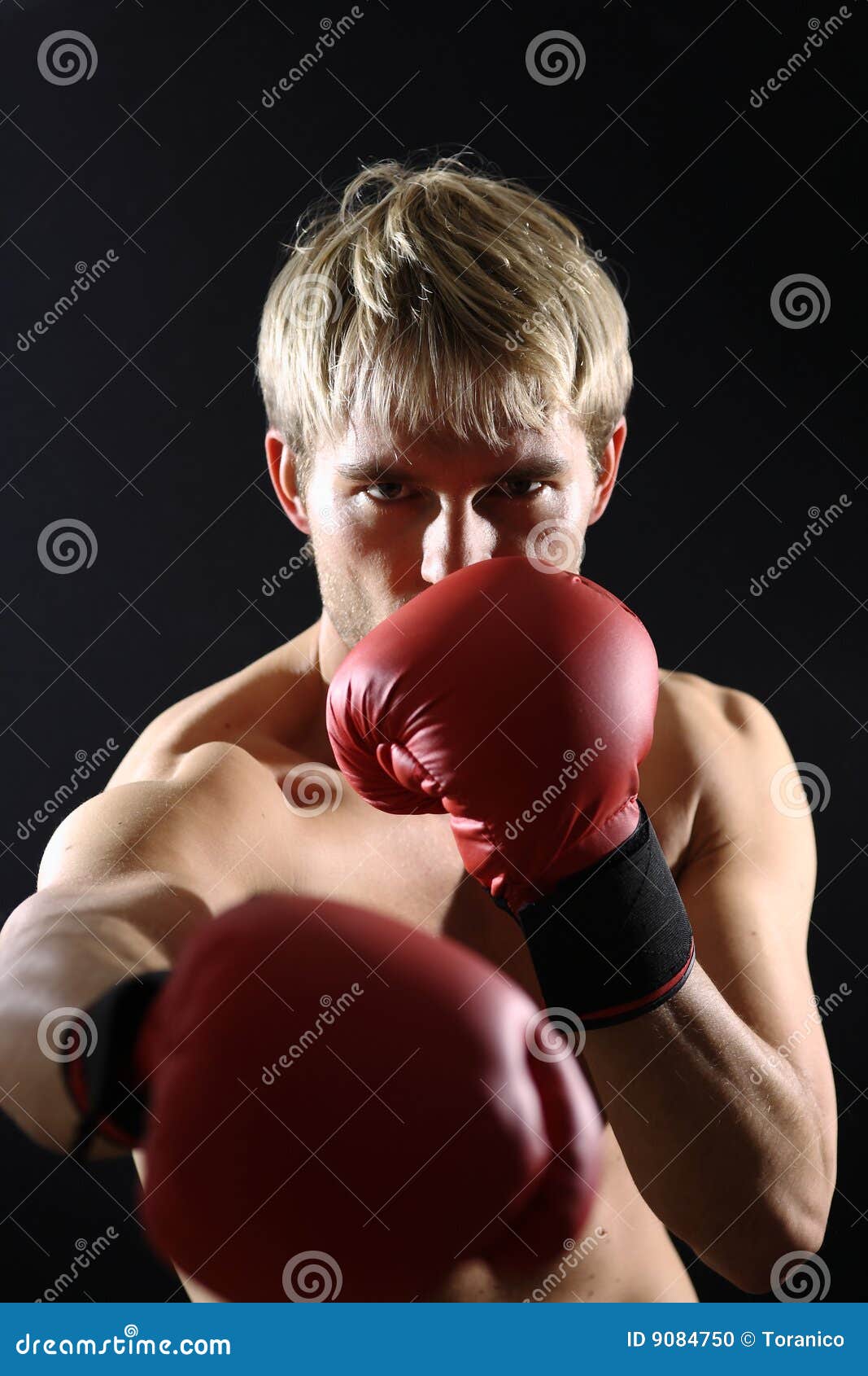 Young boxer stock photo. Image of match, fight, boxing - 9084750
