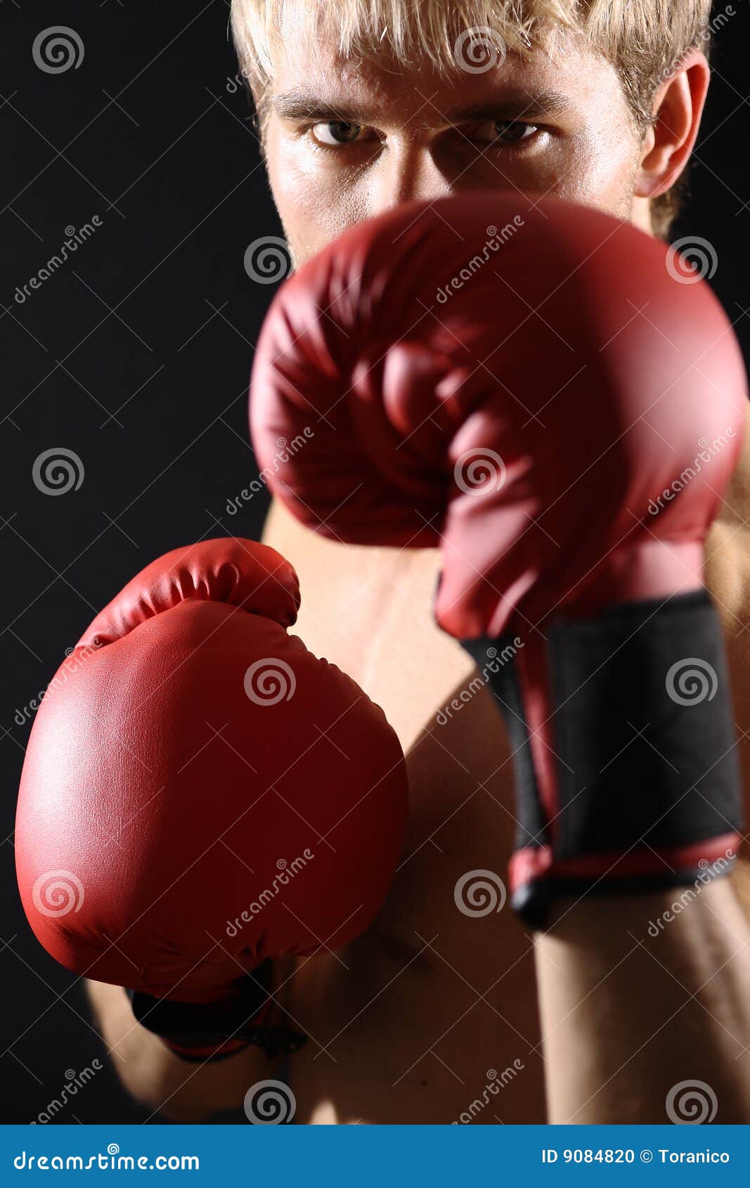 Young boxer stock photo. Image of boxer, young, fight - 9084820