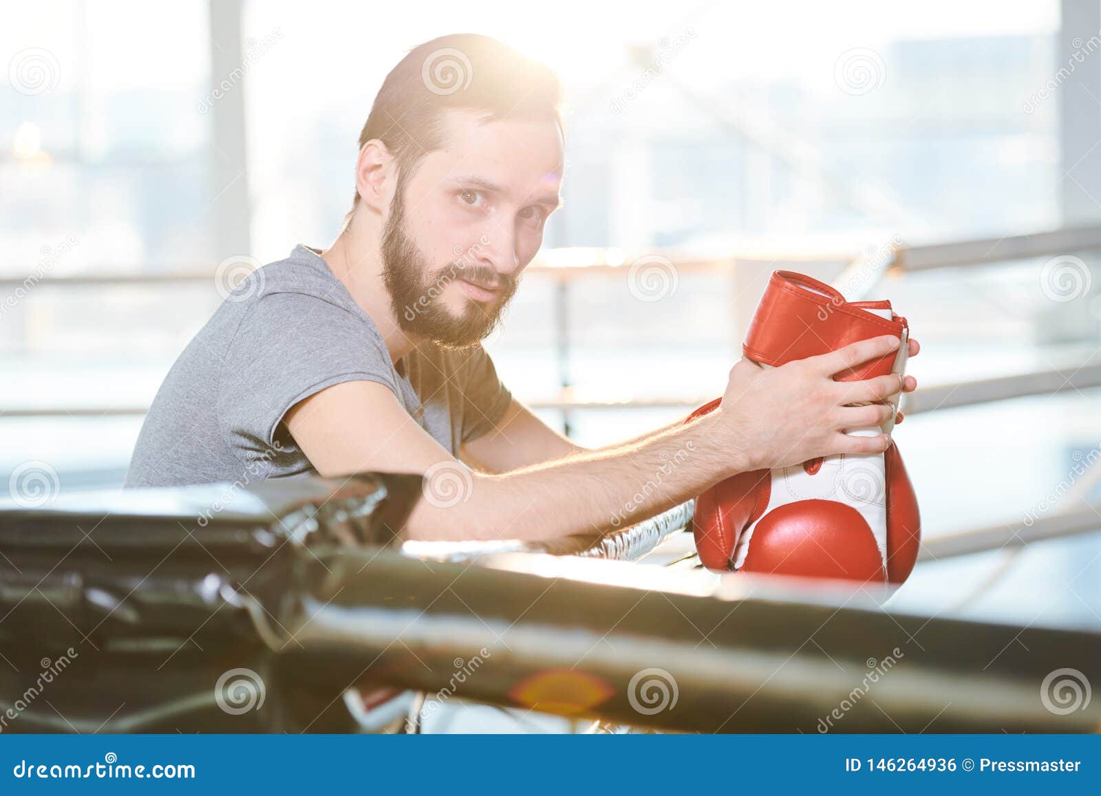 Young boxer stock photo. Image of active, athlete, young - 146264936