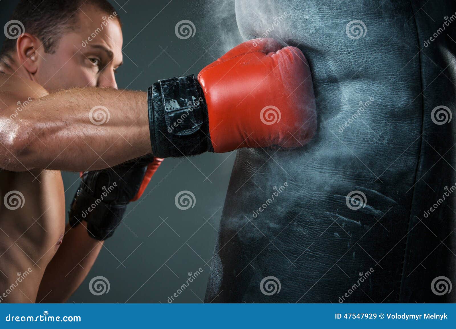 Young Boxer boxing stock image. Image of boxer, fitness - 47547929