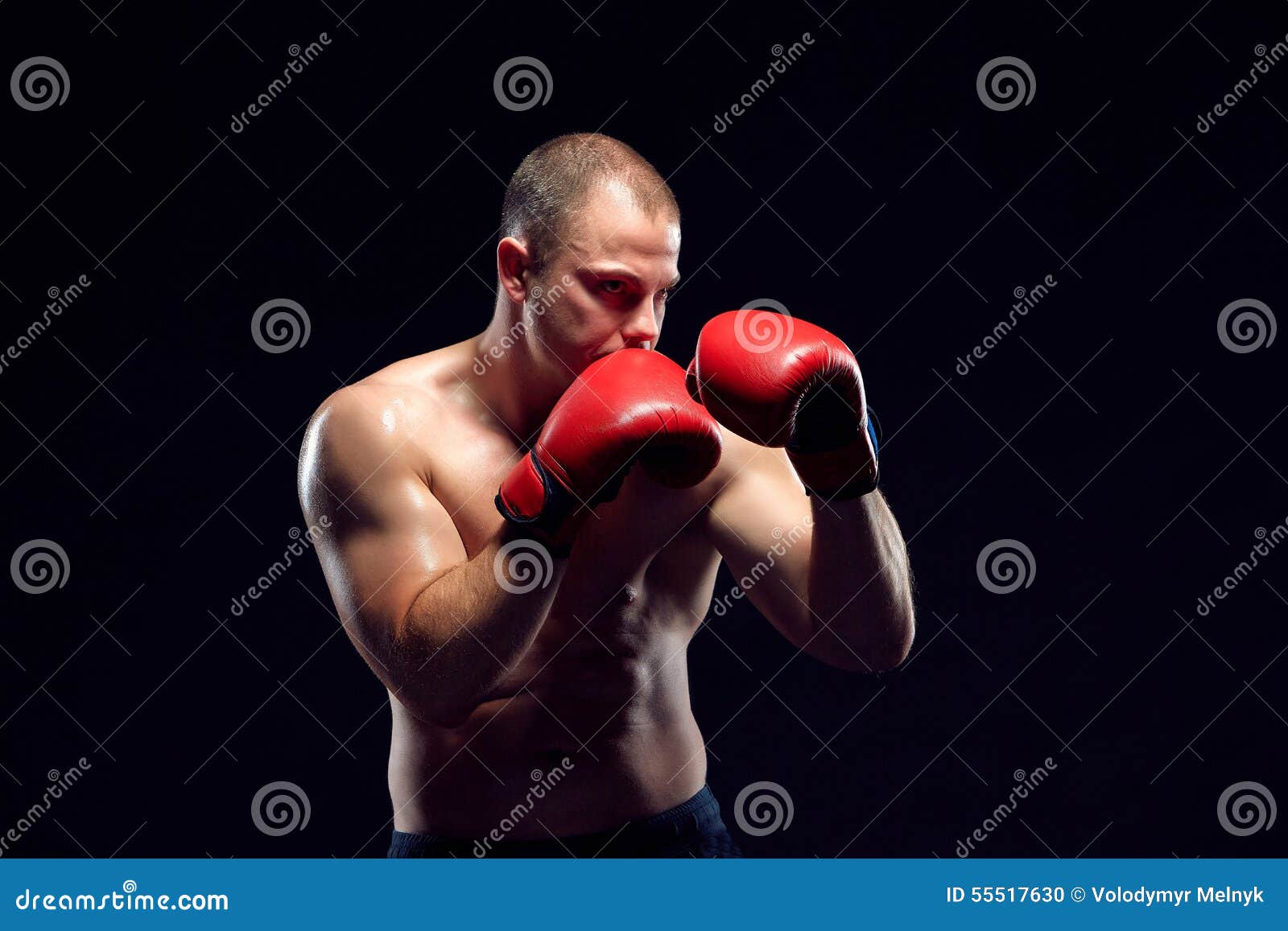 Young Boxer boxing stock photo. Image of healthy, athlete - 55517630