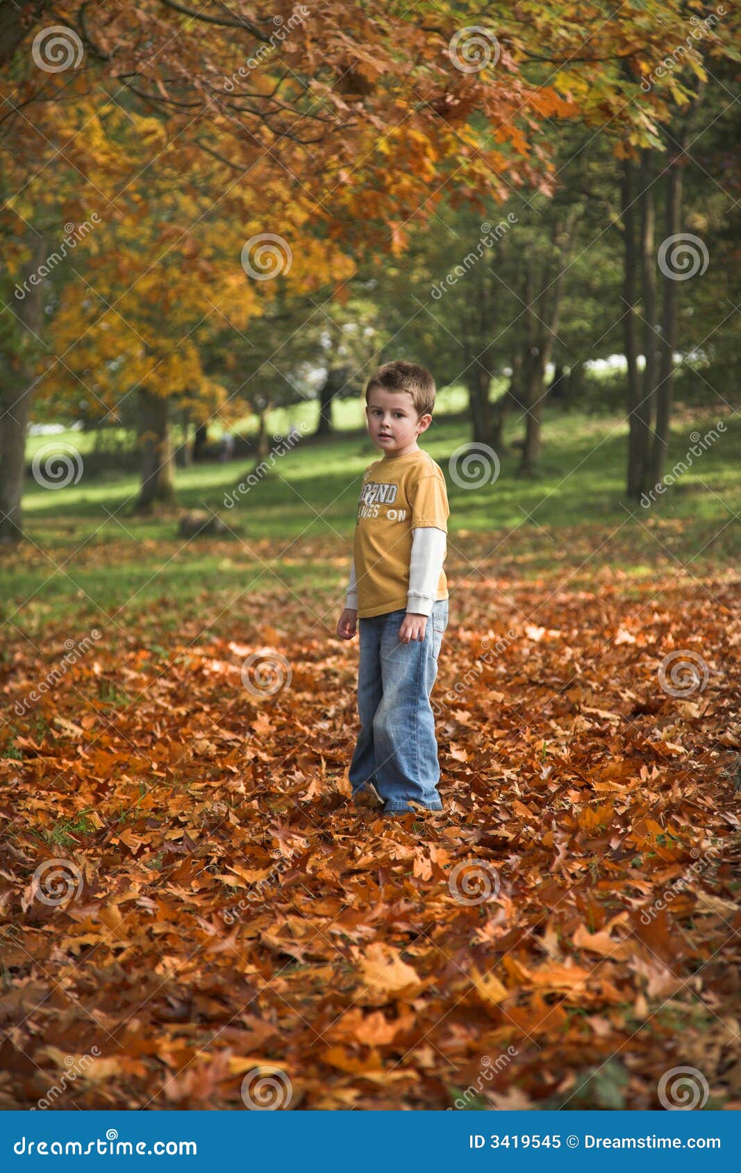 Young boy in Autumn stock image. Image of standing, autumnal - 3419545