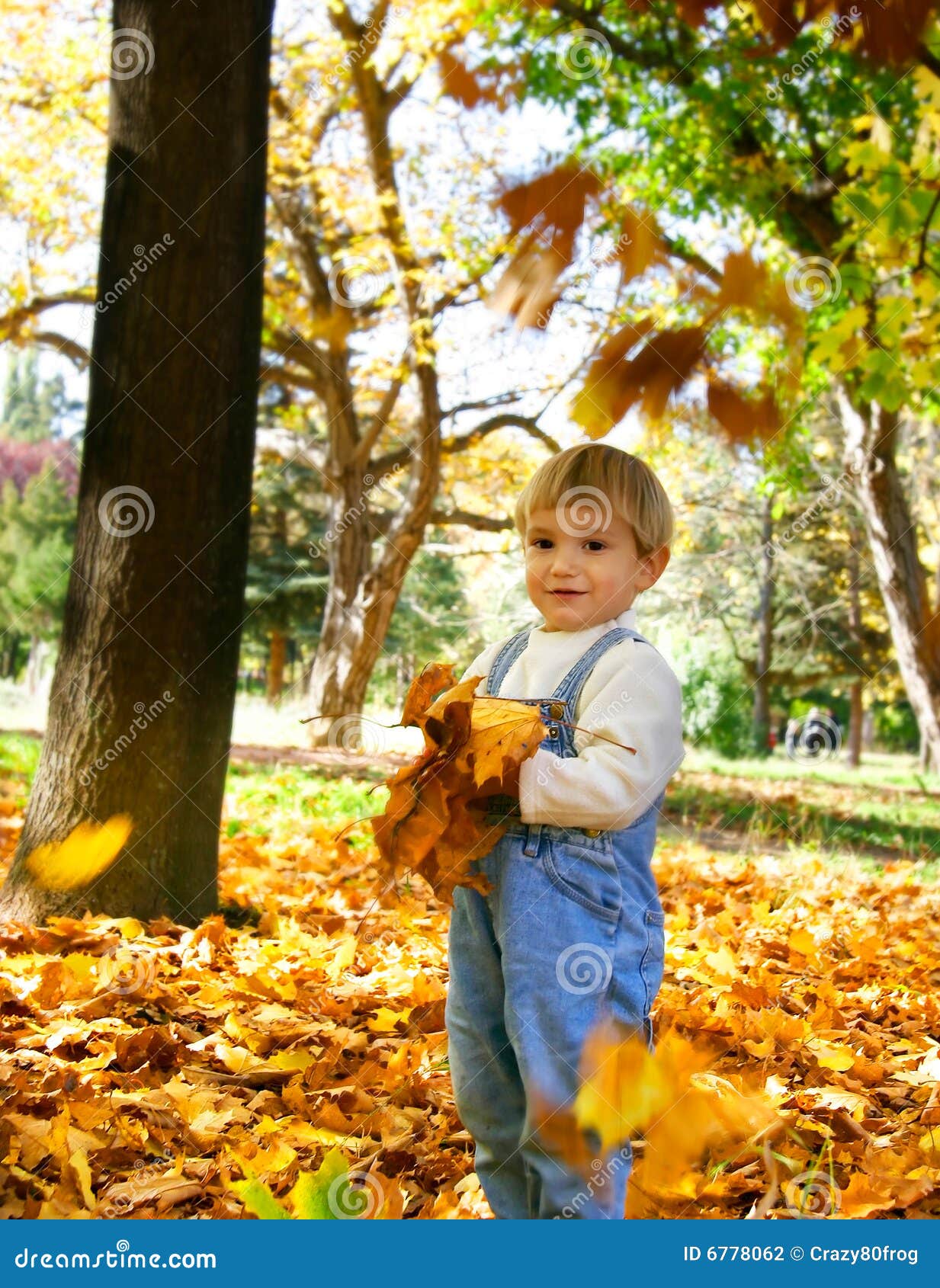 Young Boy with Autumn Leaves Stock Photo - Image of closeup, autumn ...