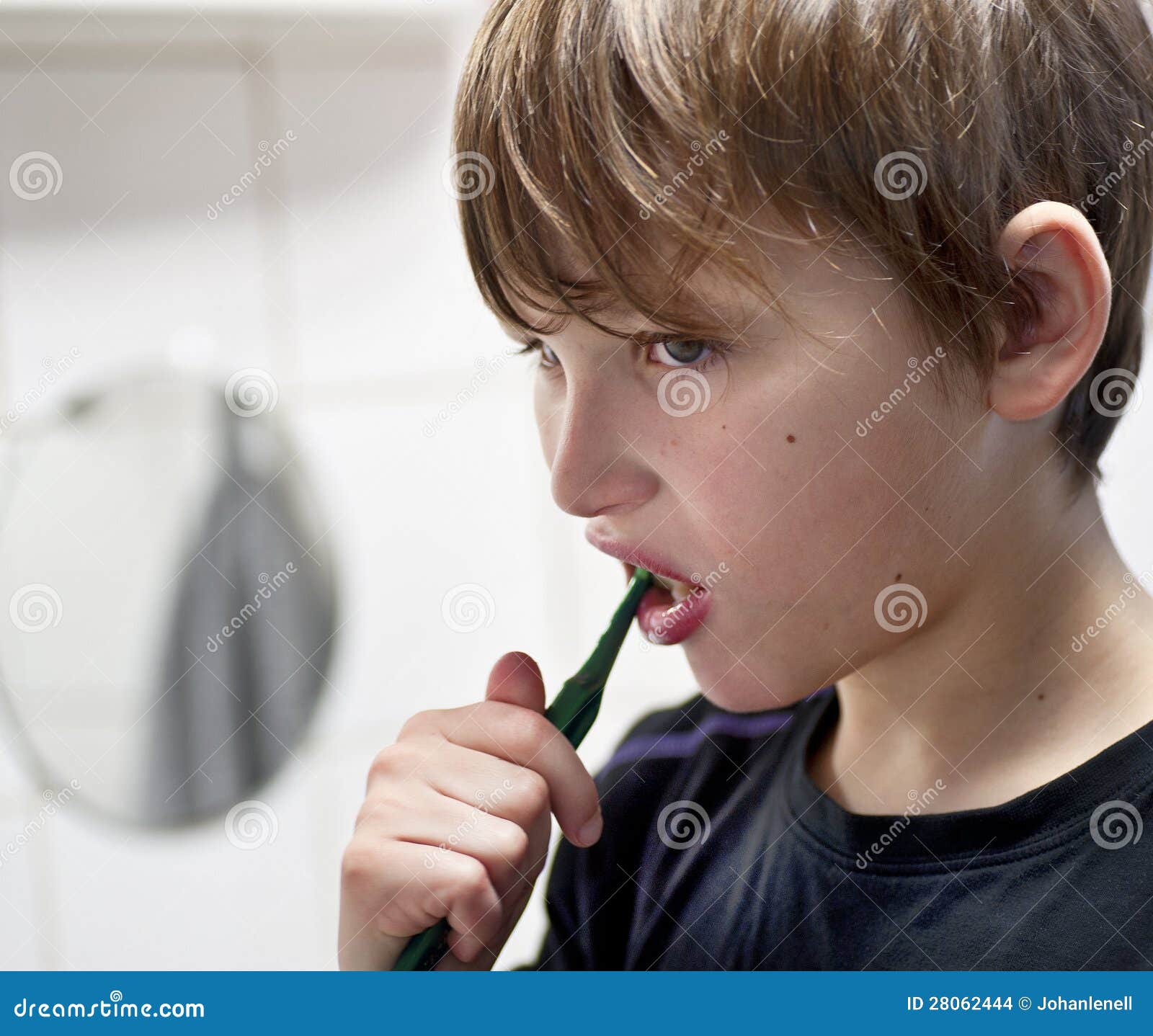 Young boy brushing teeth stock photo. Image of mouth - 28062444