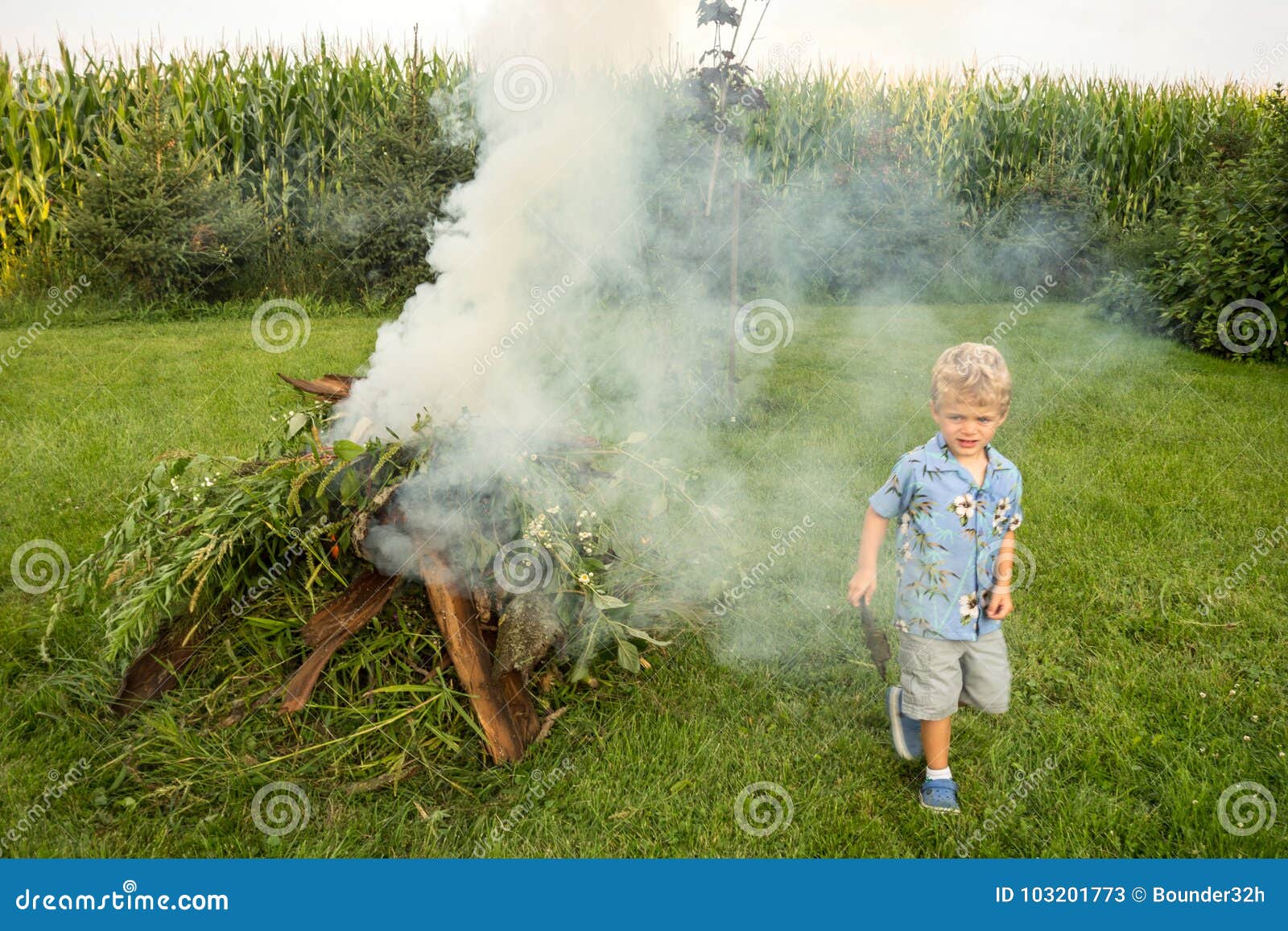 A Young Boy Building a Bonfire Stock Image - Image of corn, assisting ...