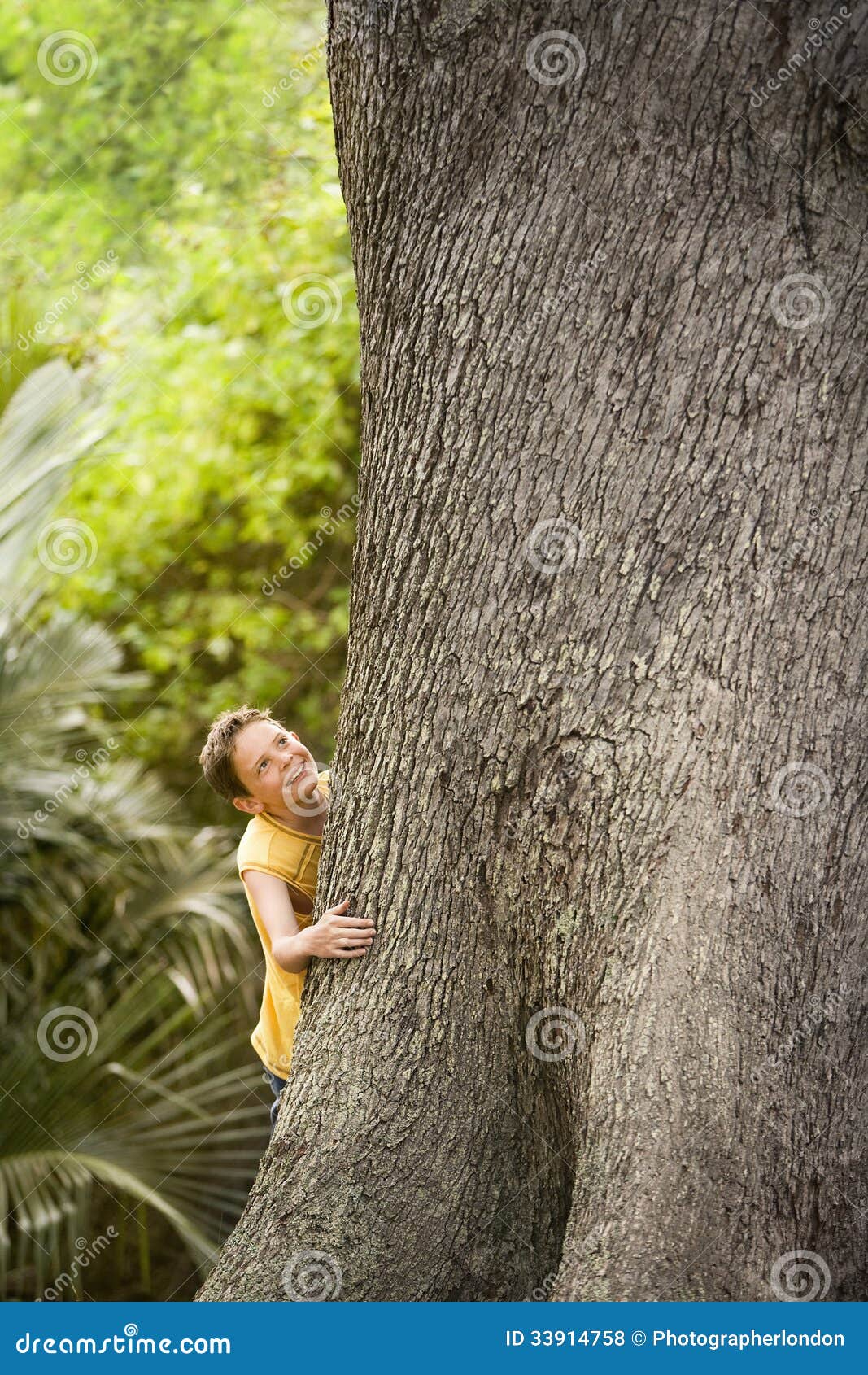 Young Boy Climbing Large Tree Stock Photo - Image of determined, happy ...