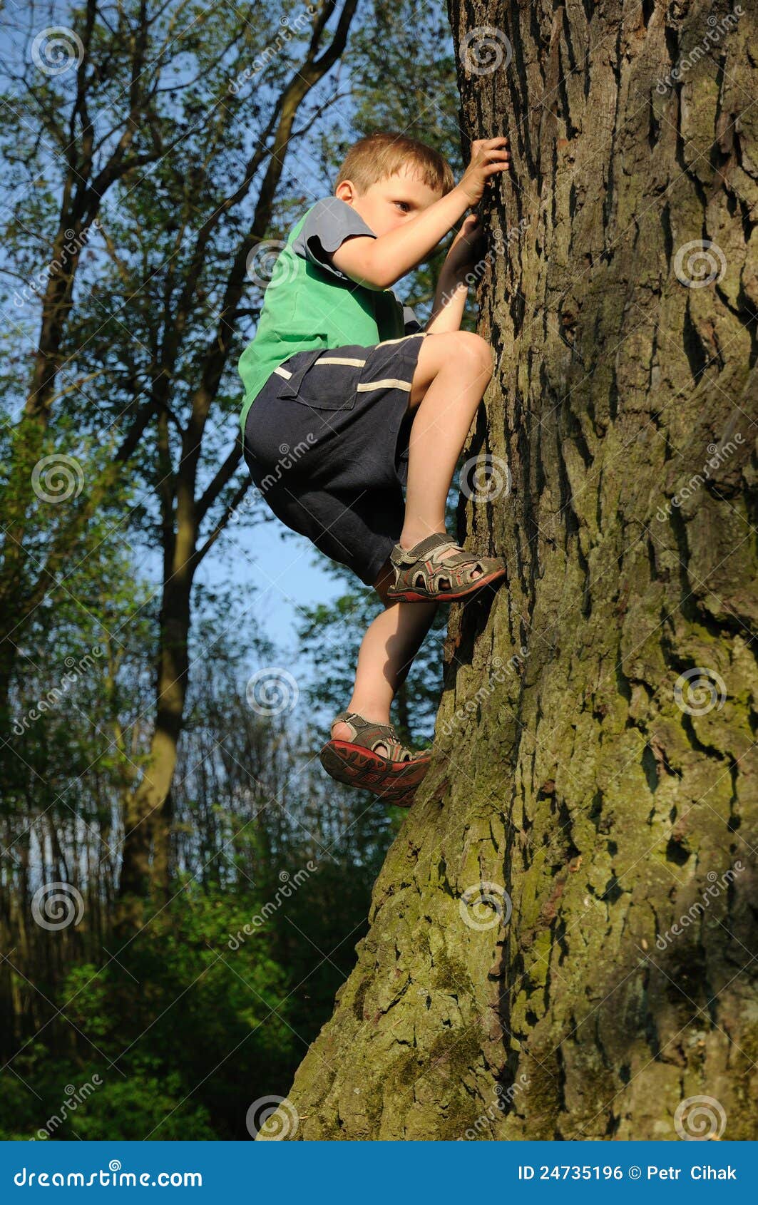 Boy Climbing Tree Royalty-Free Stock Photo | CartoonDealer.com #54899499