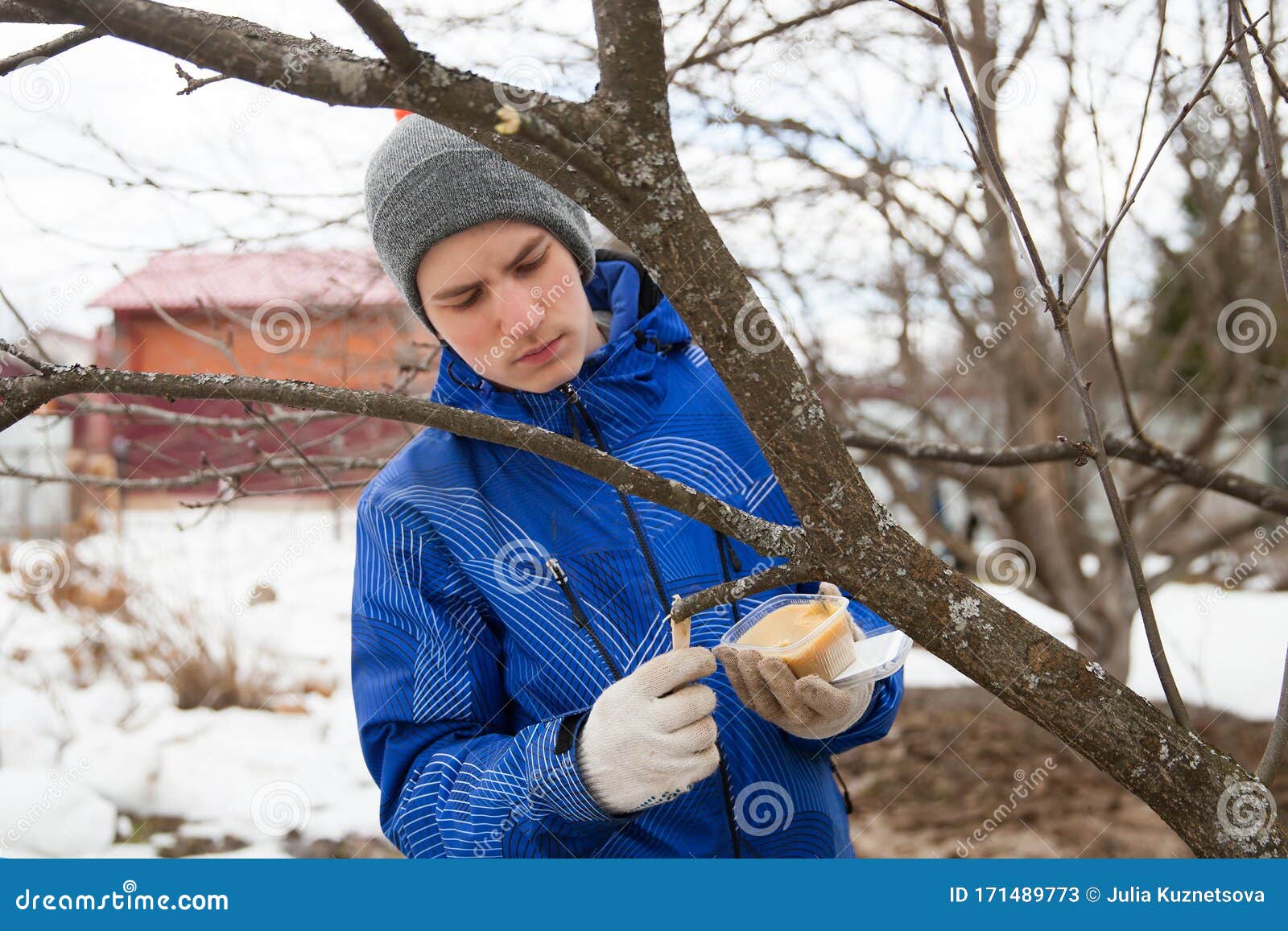A Young Boy is Closing Up with Tree-pruning Paste Stock Image - Image ...
