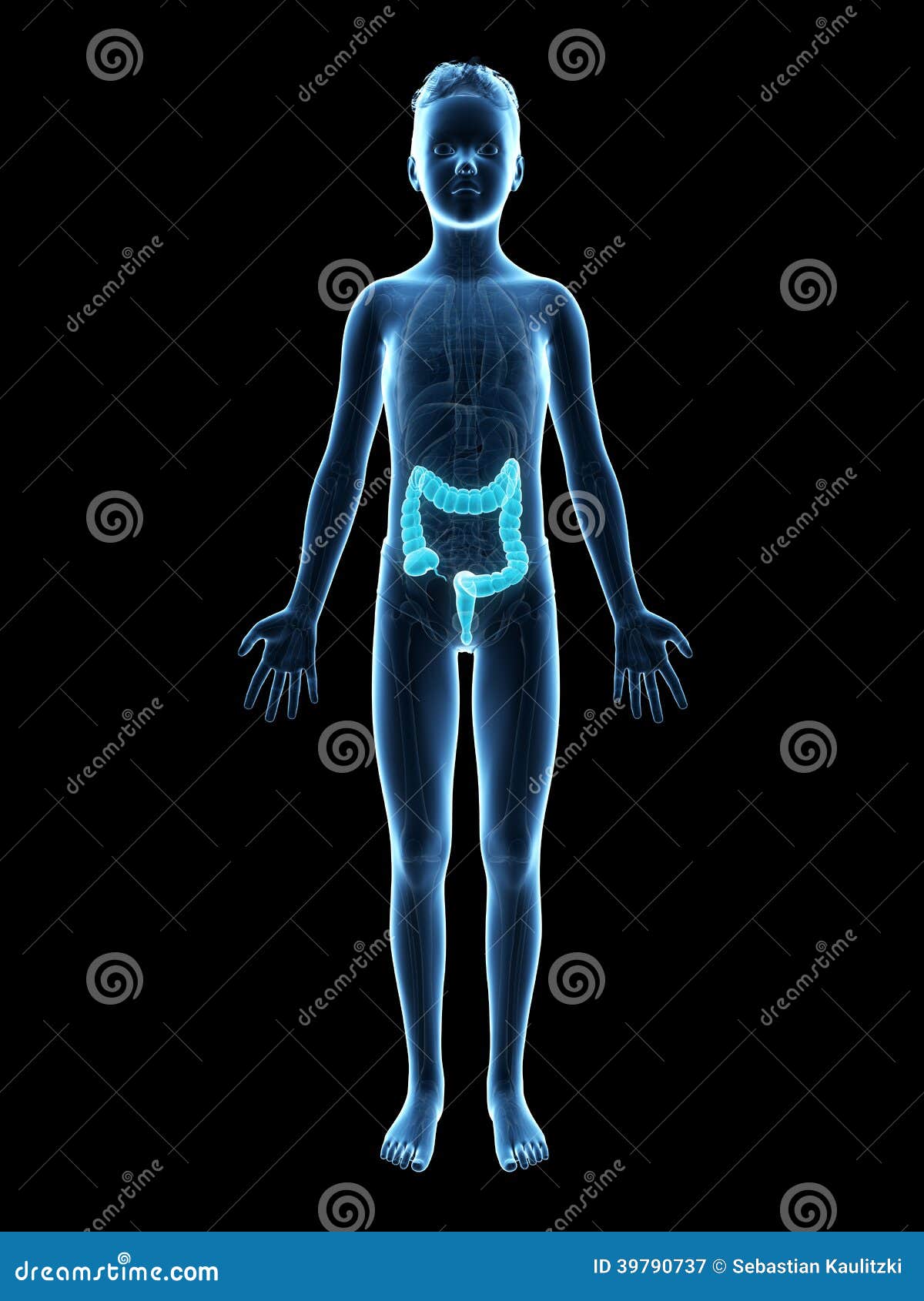 Young boy - the colon stock illustration. Illustration of juvenile ...