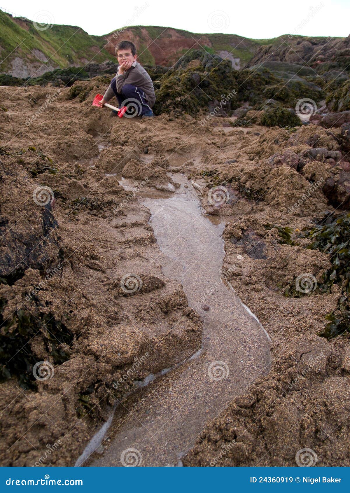 Young Boy Digging stock image. Image of young, sand, lifestyle - 24360919