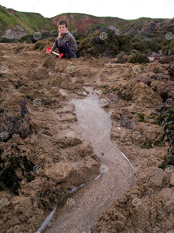 Young Boy Digging stock image. Image of young, sand, lifestyle - 24360919
