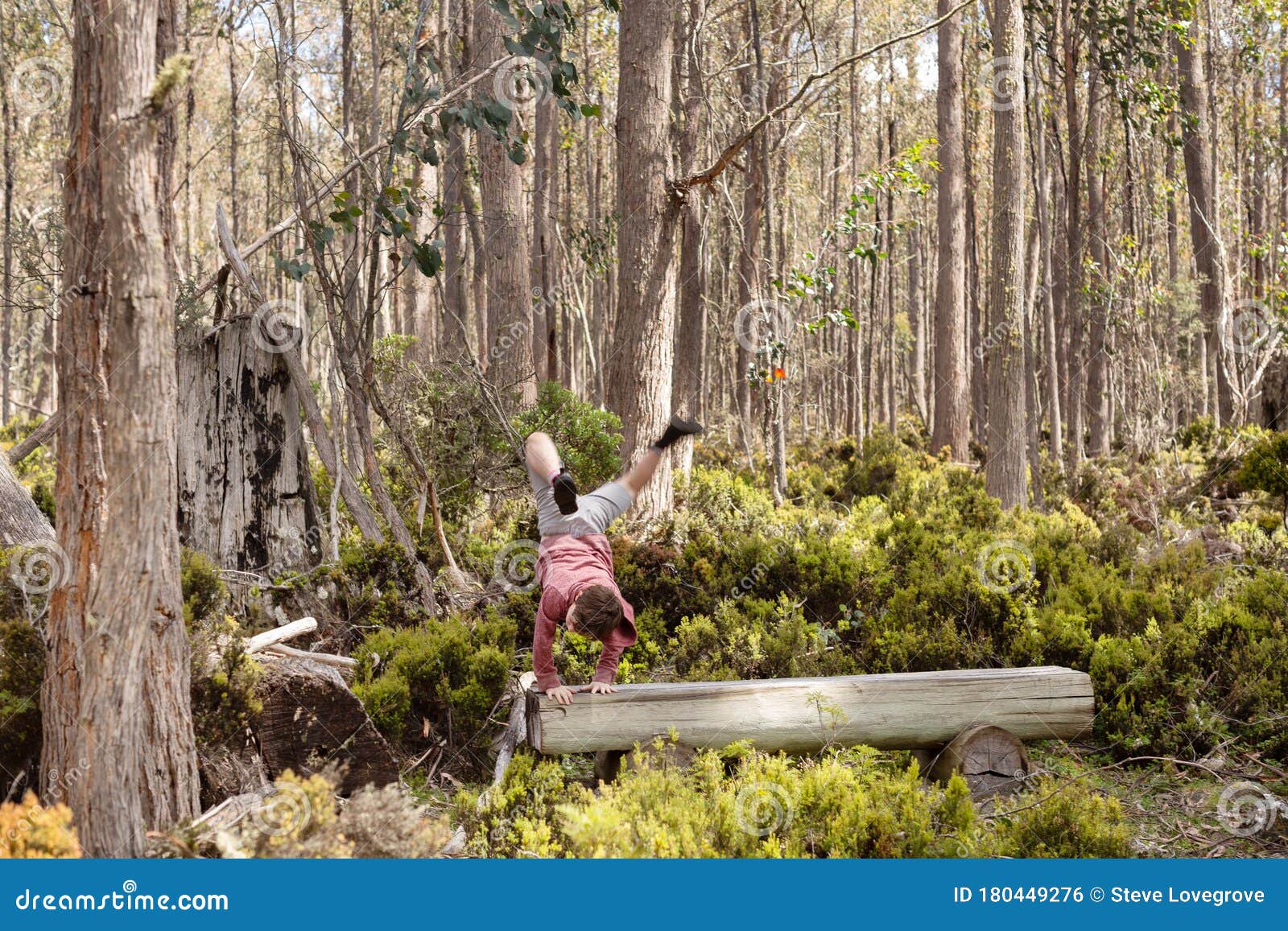 Young Boy Does a Cartwheel on a Tree Trunk Stock Photo - Image of ...