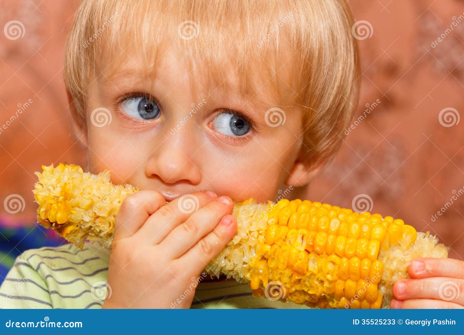 Young boy Eating Corn stock image. Image of dinner, closeup - 35525233