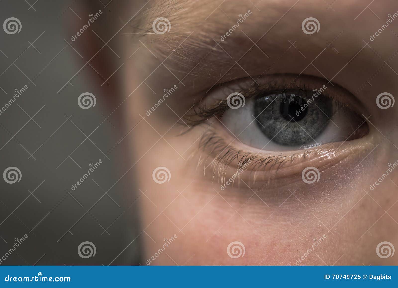 Young boy s eye. stock photo. Image of young, eyelashes - 70749726