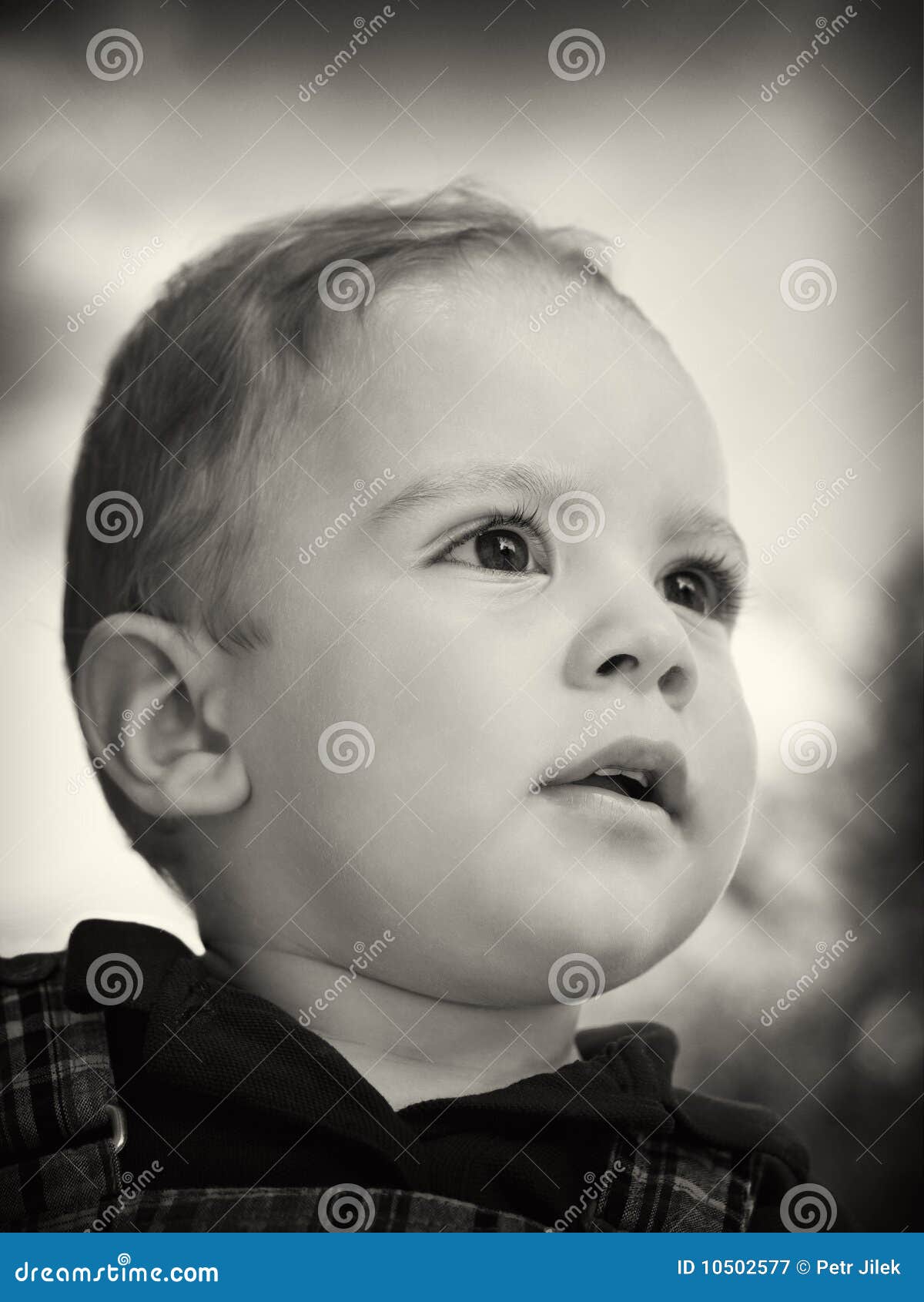 590 Fixedly Stock Photos - Free & Royalty-Free Stock Photos from Dreamstime