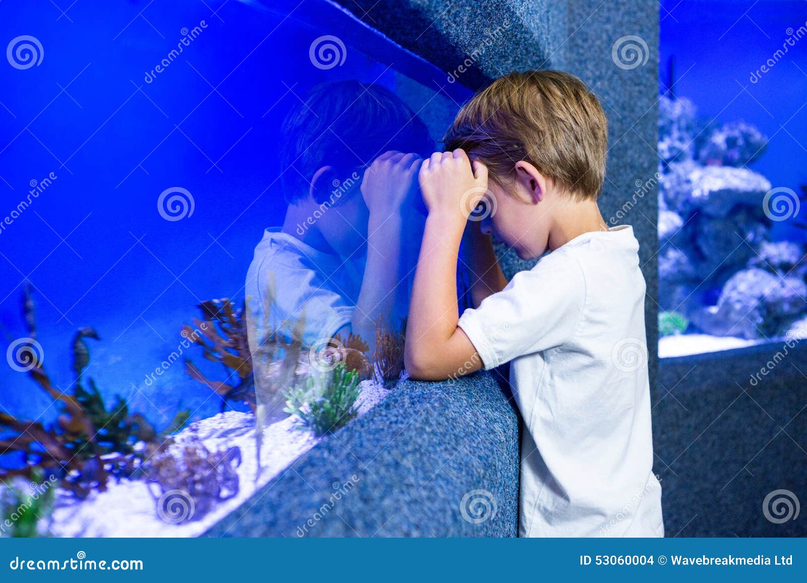 Young Boy Focusing an Algae Stock Photo - Image of animal, storage ...