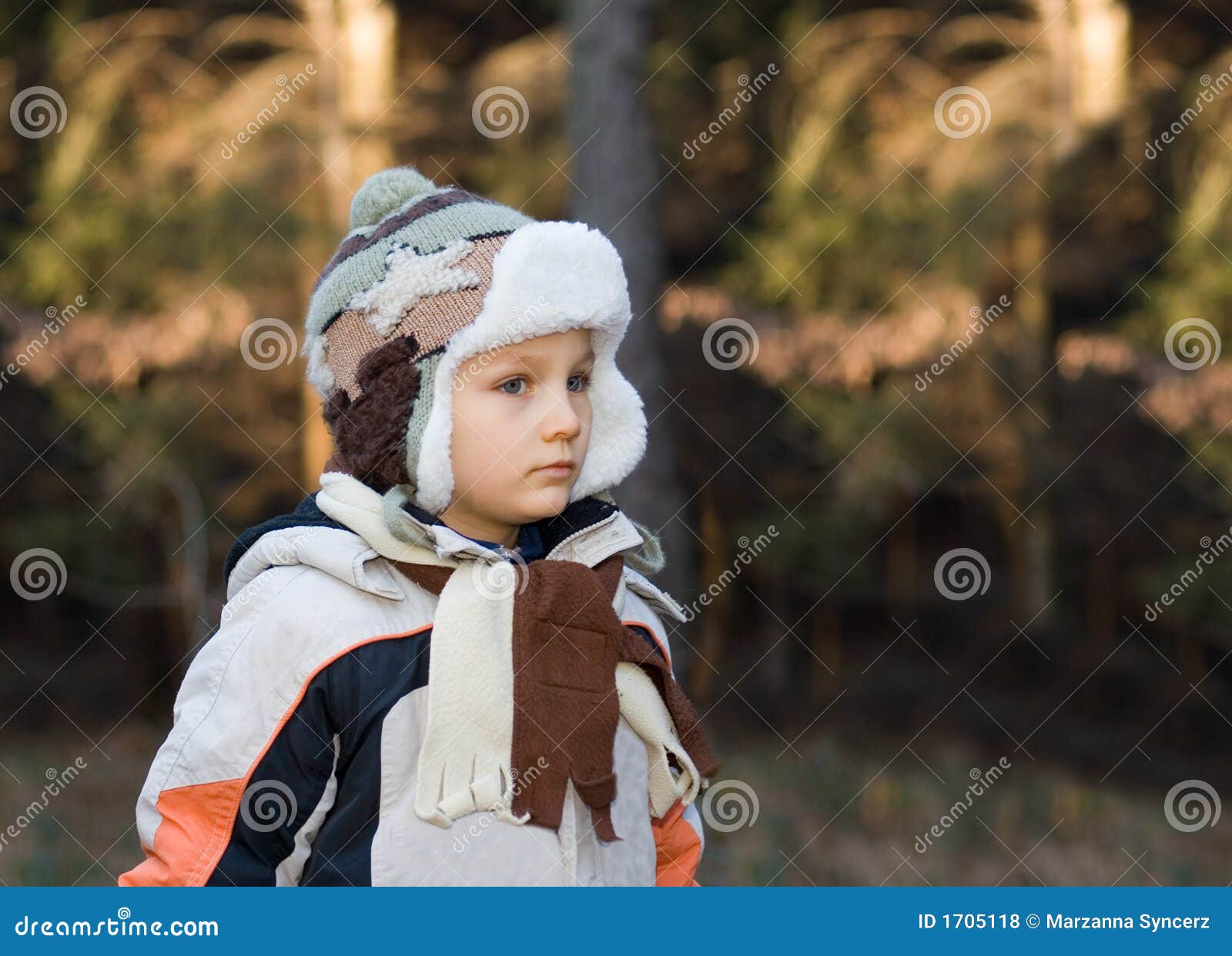 Young Boy in a Forest stock photo. Image of bright, male - 1705118