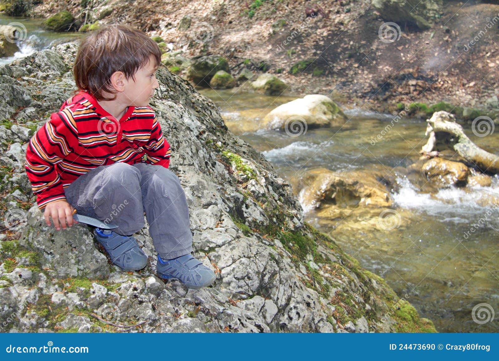 Young boy in forest stock photo. Image of healthy, happy - 24473690