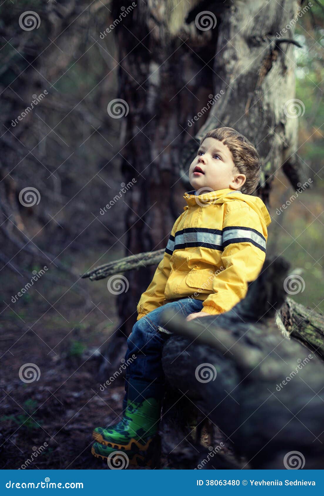 Young boy at the forest stock photo. Image of nature - 38063480