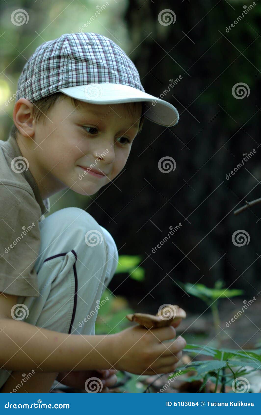 Young boy in the forest. stock photo. Image of nice, forest - 6103064