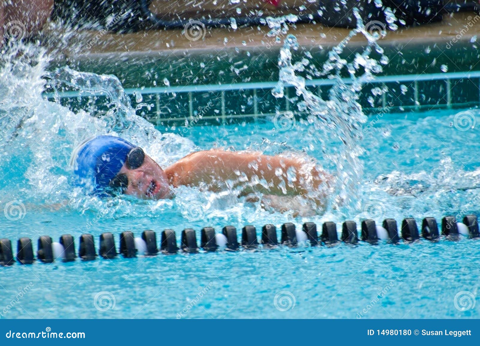 Young Boy /Freestyle in Pool Stock Photo - Image of hand, close: 14980180