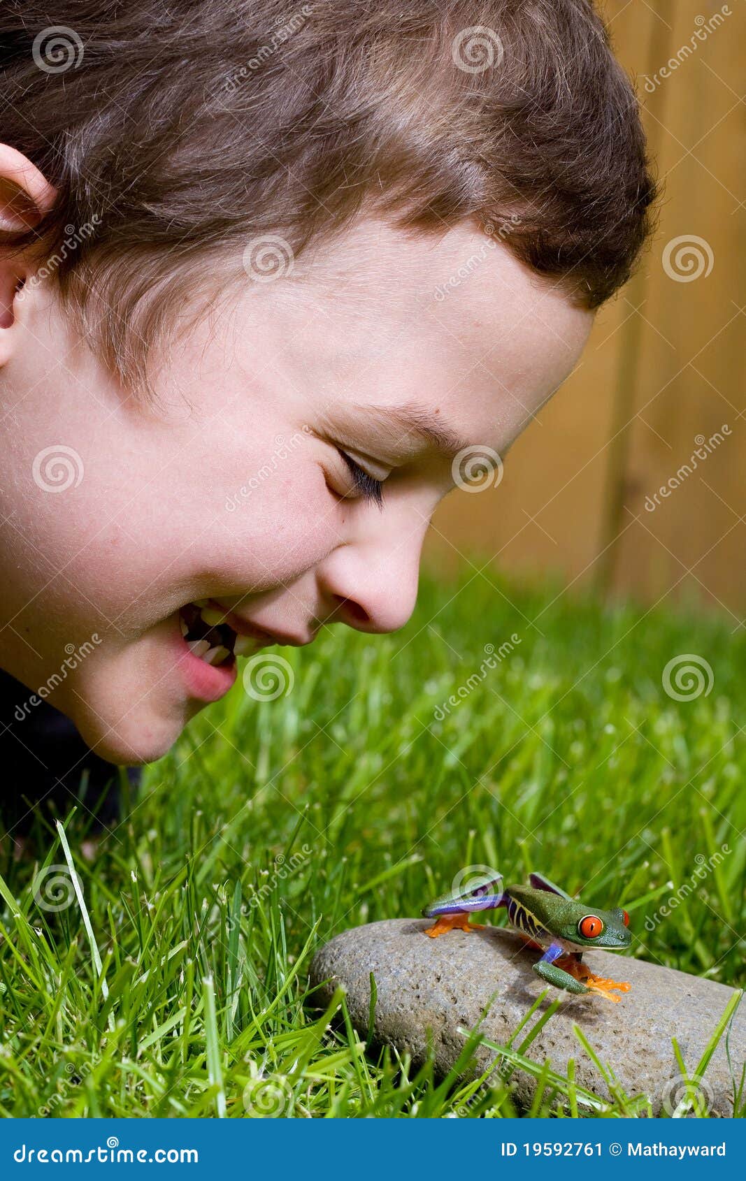 Young boy and a frog stock image. Image of smile, rock - 19592761