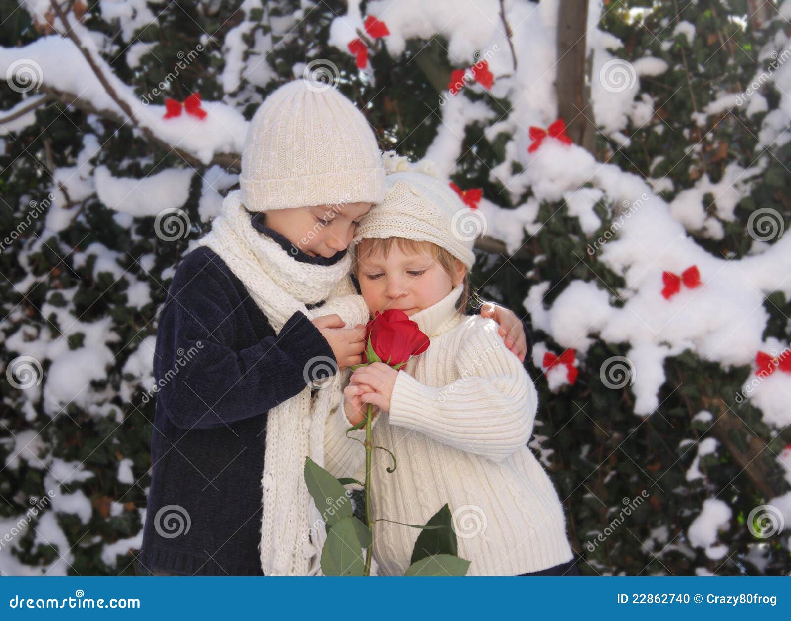 Young Boy and Girl with Red Rose Stock Photo - Image of little, gift ...