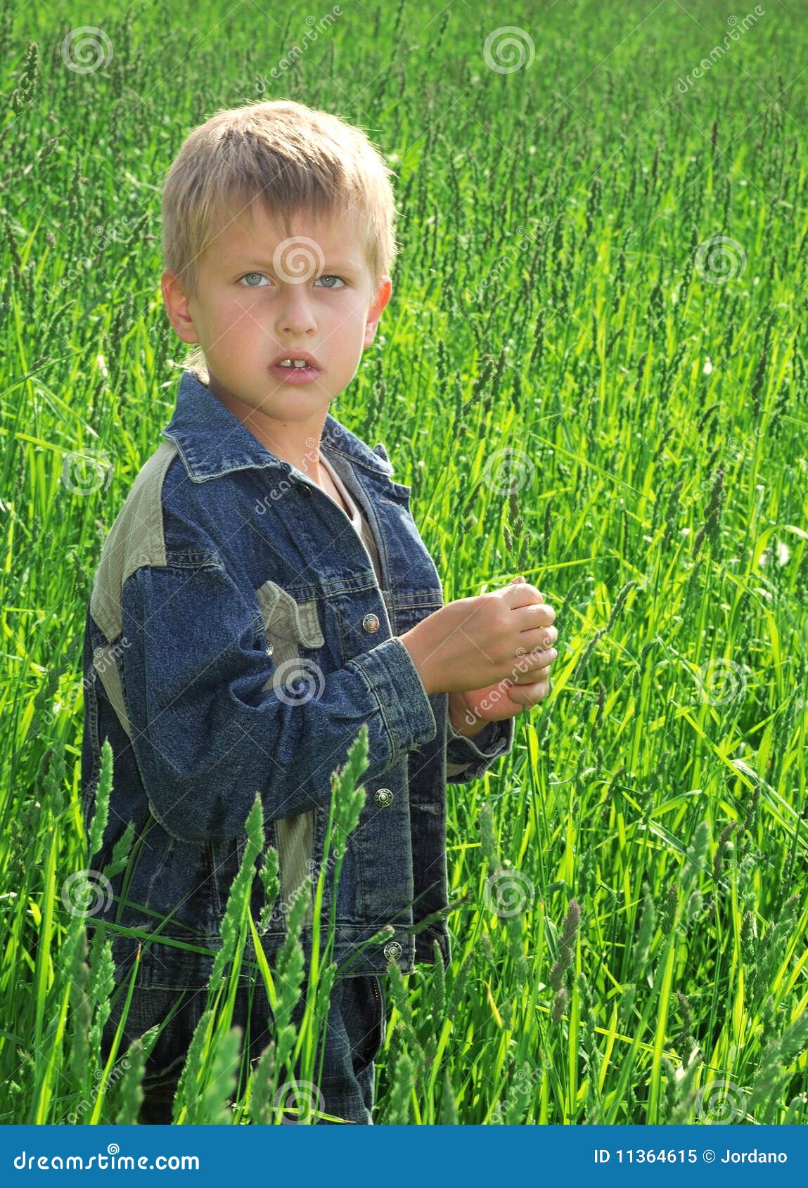 Young Boy on Green Field Grass Stock Image - Image of beautiful ...