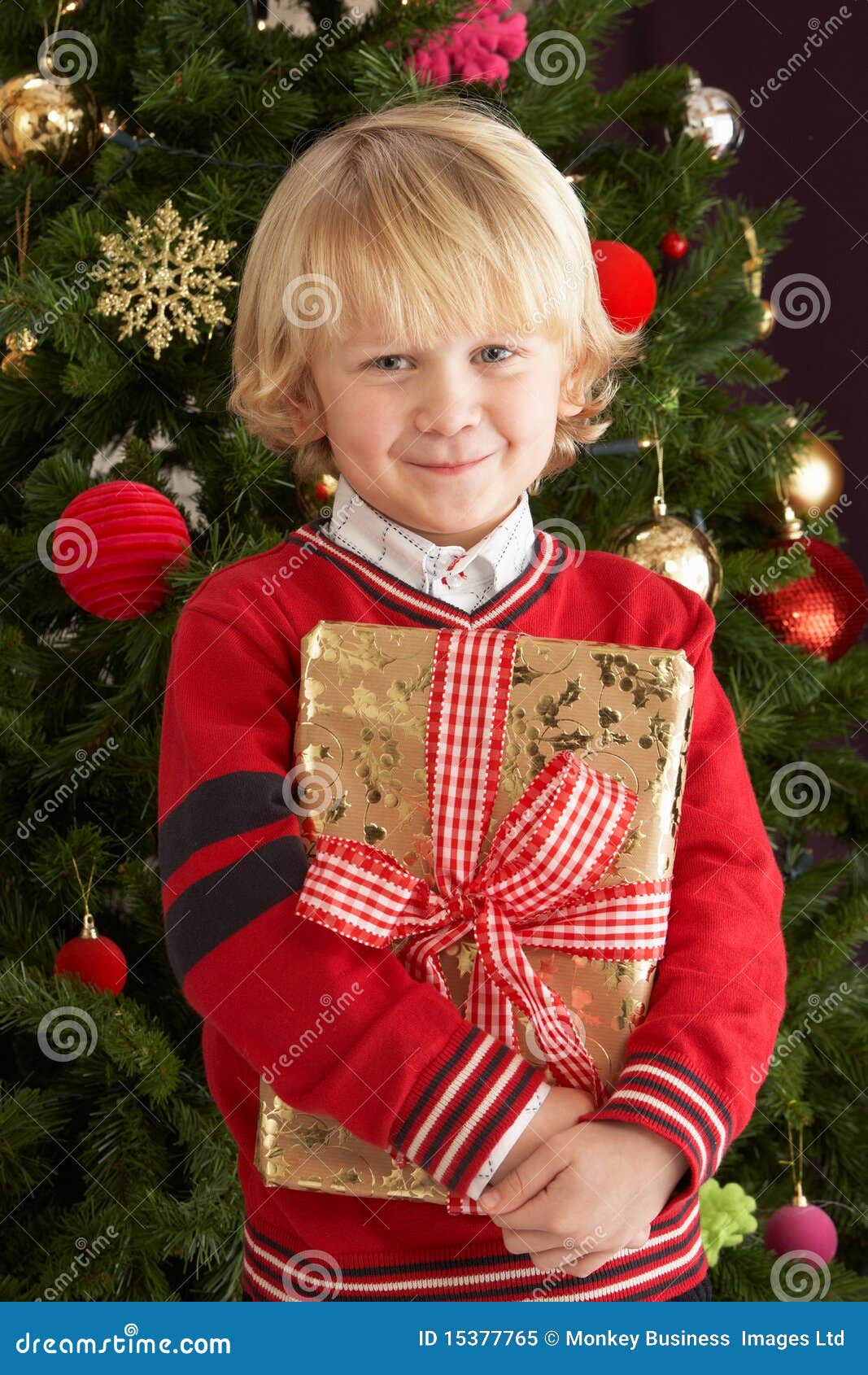 Young Boy Holding Gift in Front of Christmas Tree Stock Image - Image ...