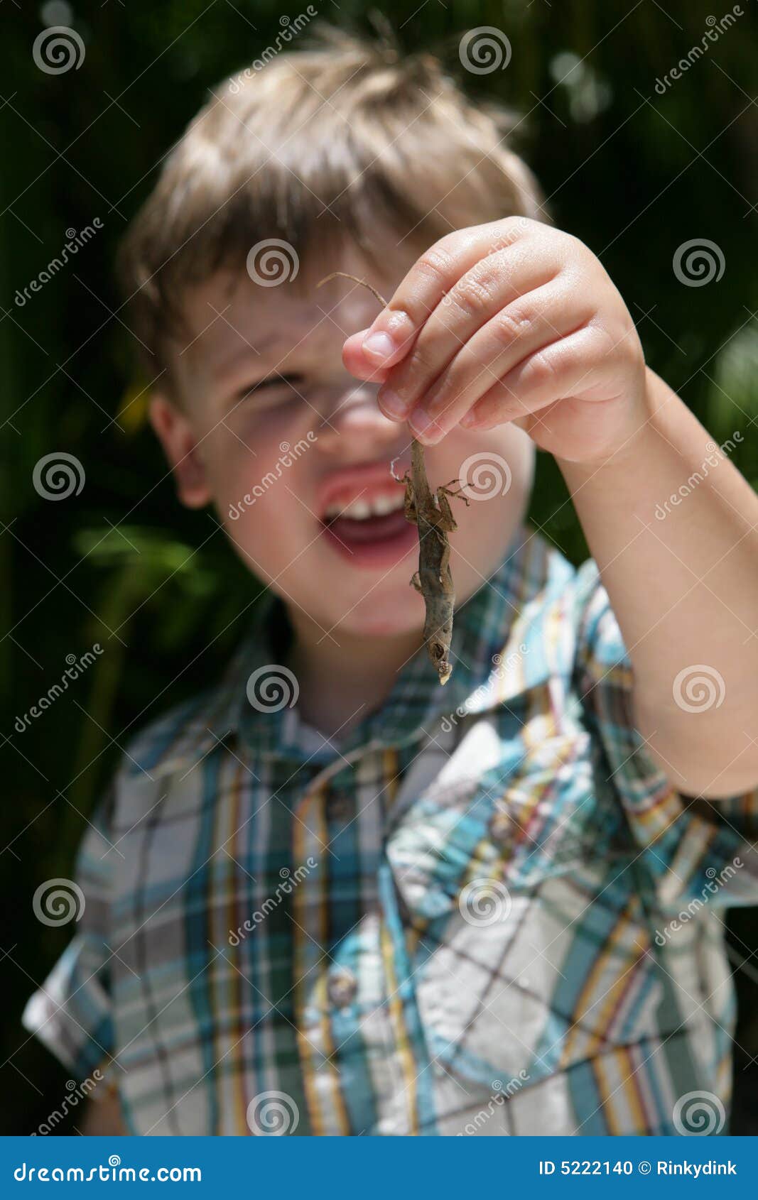 Young boy holding a lizard stock photo. Image of tail - 5222140