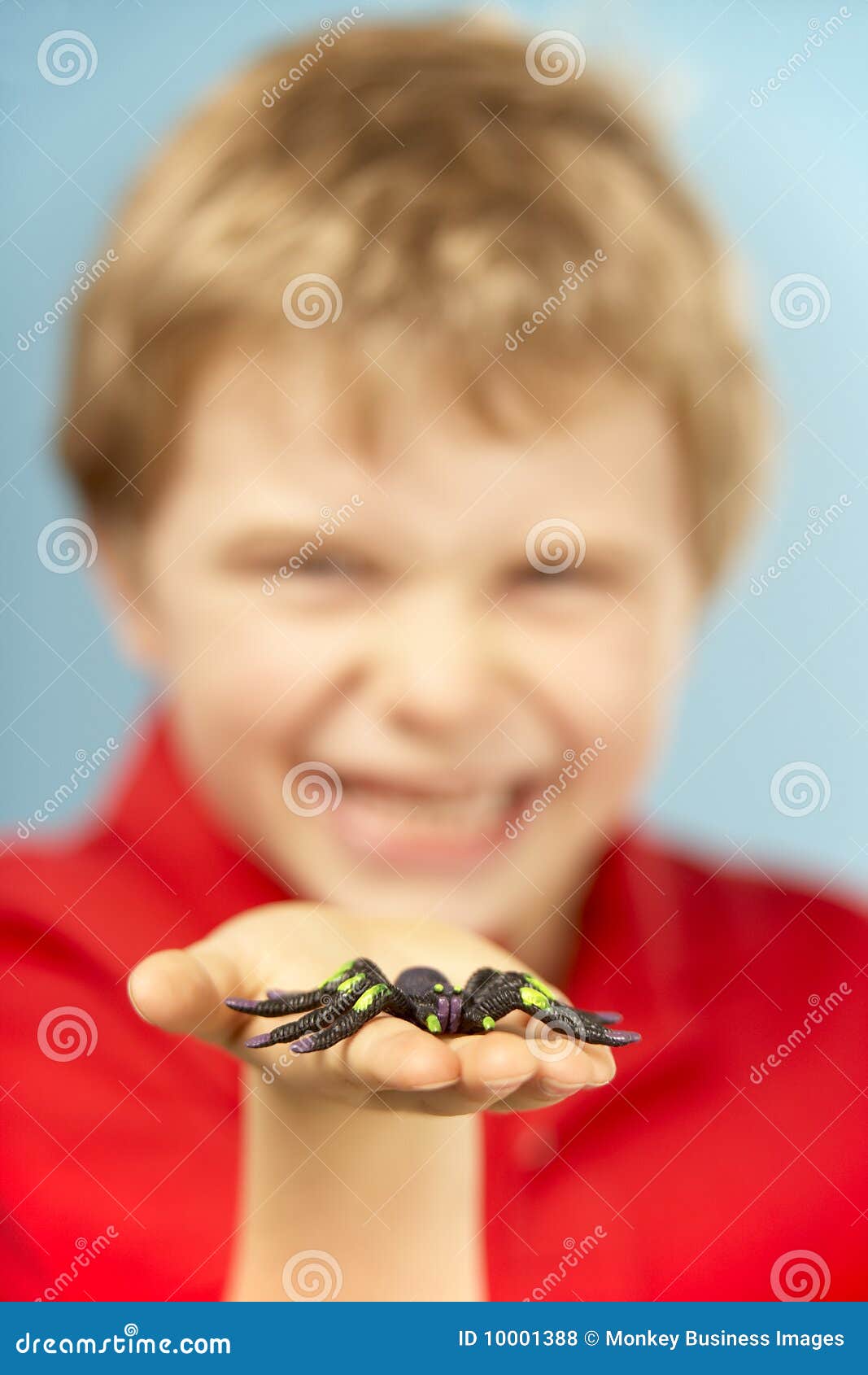 Young Boy Holding Plastic Spider Stock Photo - Image of foreground ...