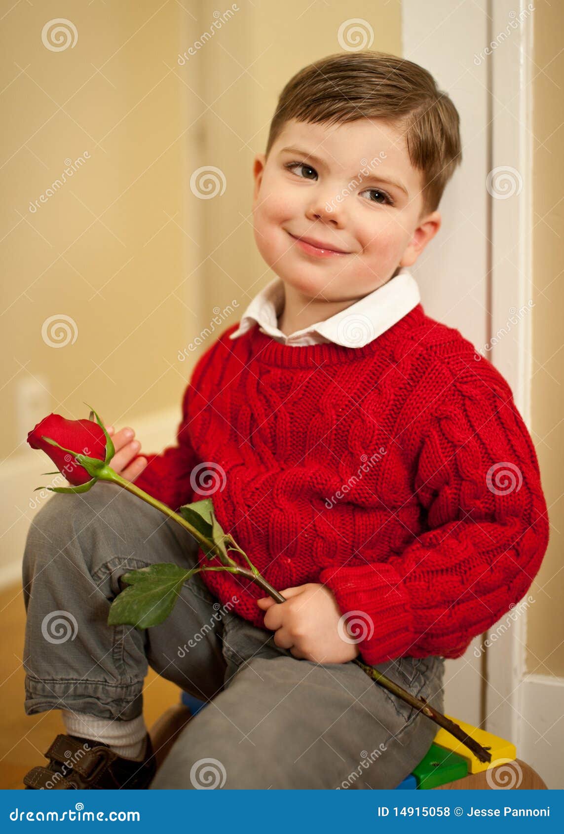 Young boy holding red rose stock photo. Image of portrait - 14915058