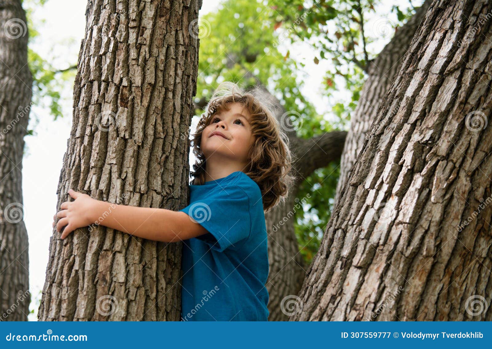Young Boy Hugging a Tree Branch. Little Boy Kid on a Tree Branch. Child ...
