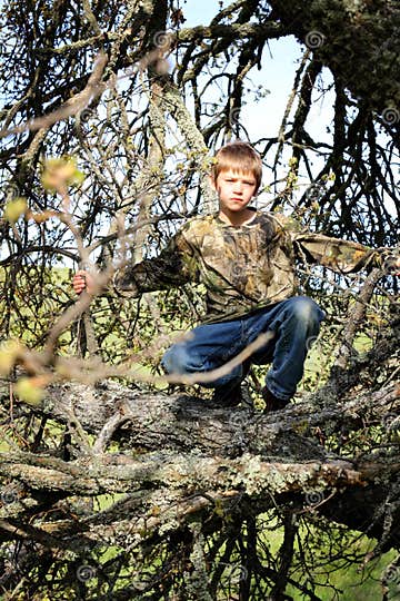 Young Boy Hunter Hiding stock photo. Image of childhood - 24578506