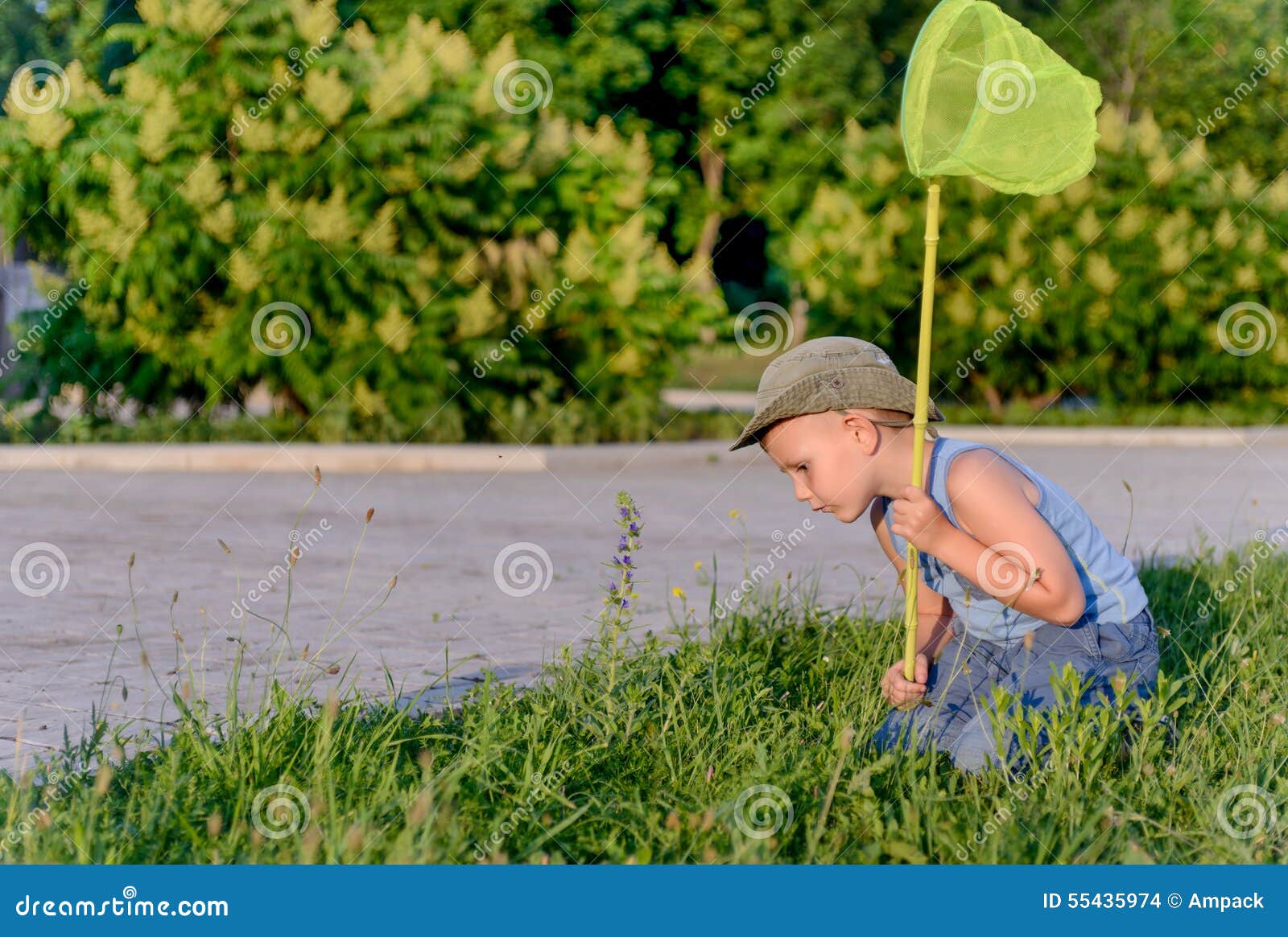 Young Boy Kneeling on Lawn with Bug Net Stock Photo - Image of patience ...