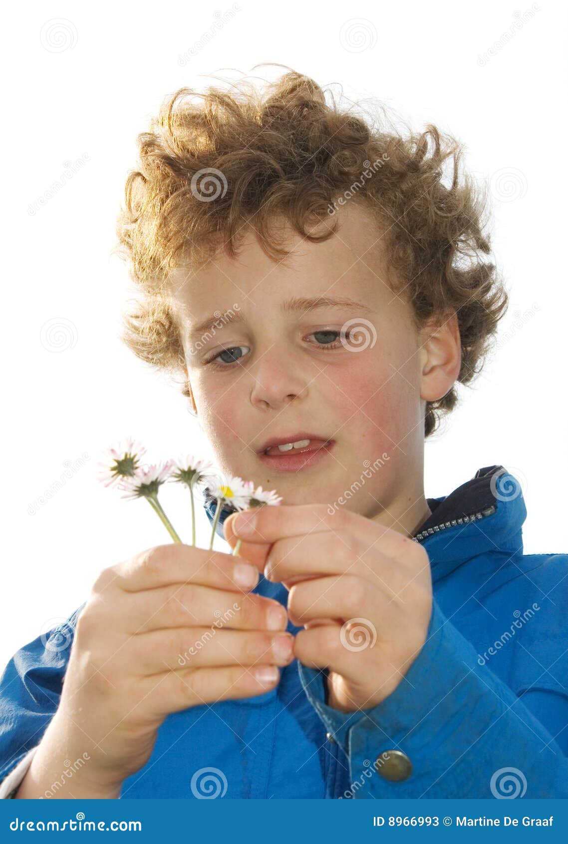 Young Boy in Love stock image. Image of blue, picking - 8966993