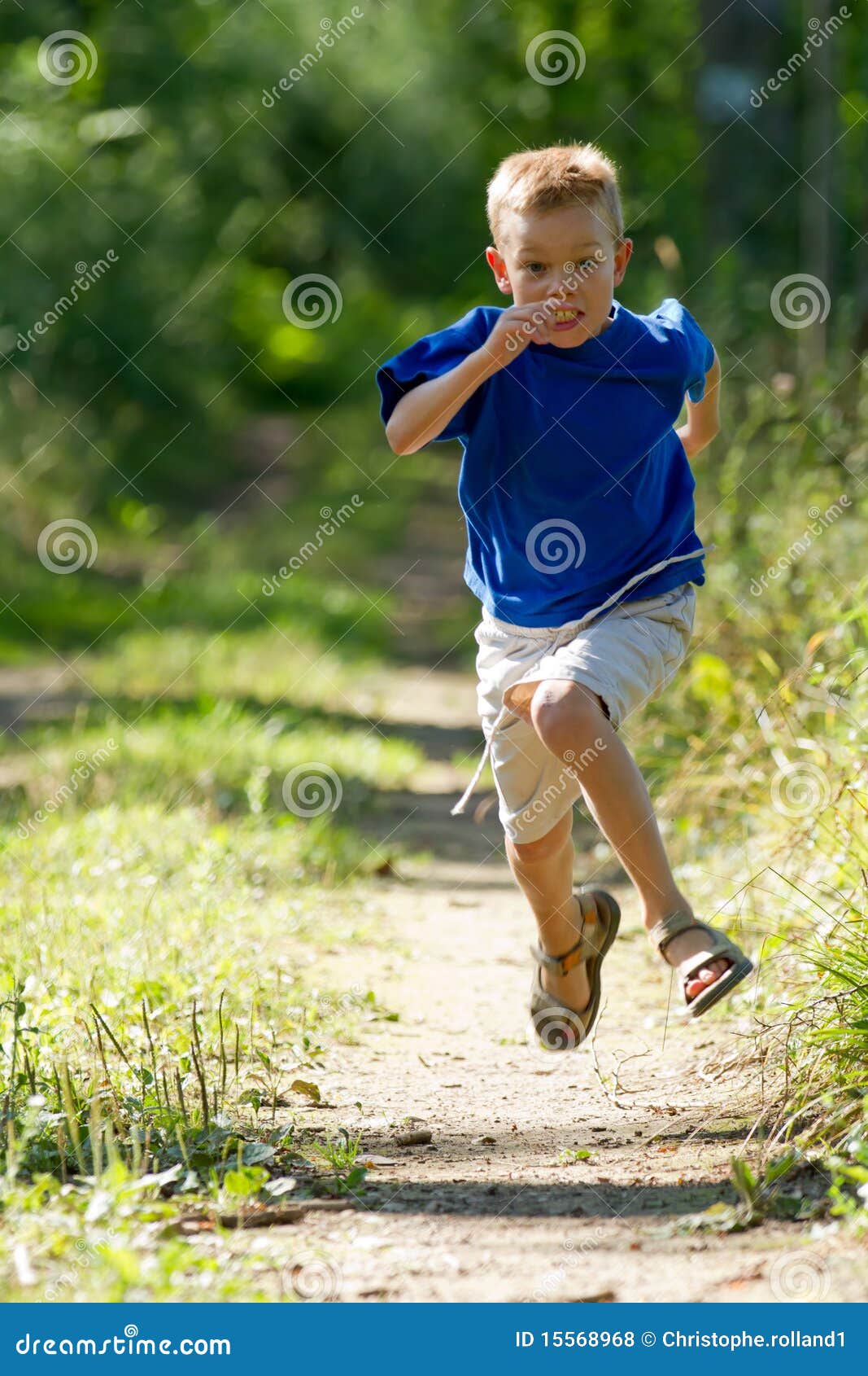 Young boy in nature stock photo. Image of children, family - 15568968