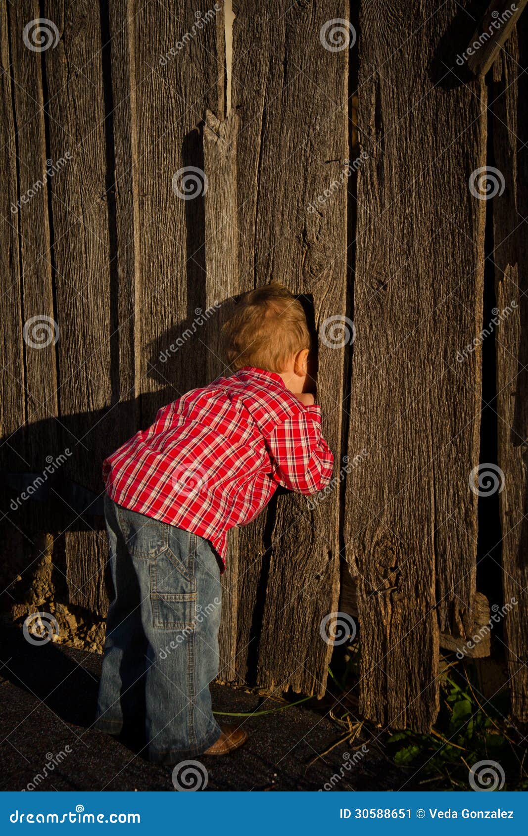 Young Boy Peeks Inside Barn Stock Image - Image of peering, barn: 30588651