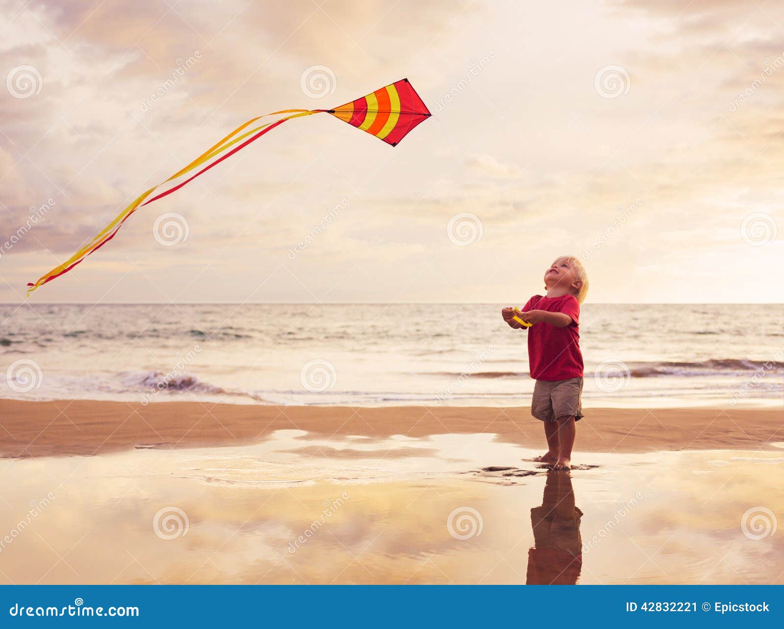 Young Boy Playing with Kite Stock Image - Image of life, delight: 42832221